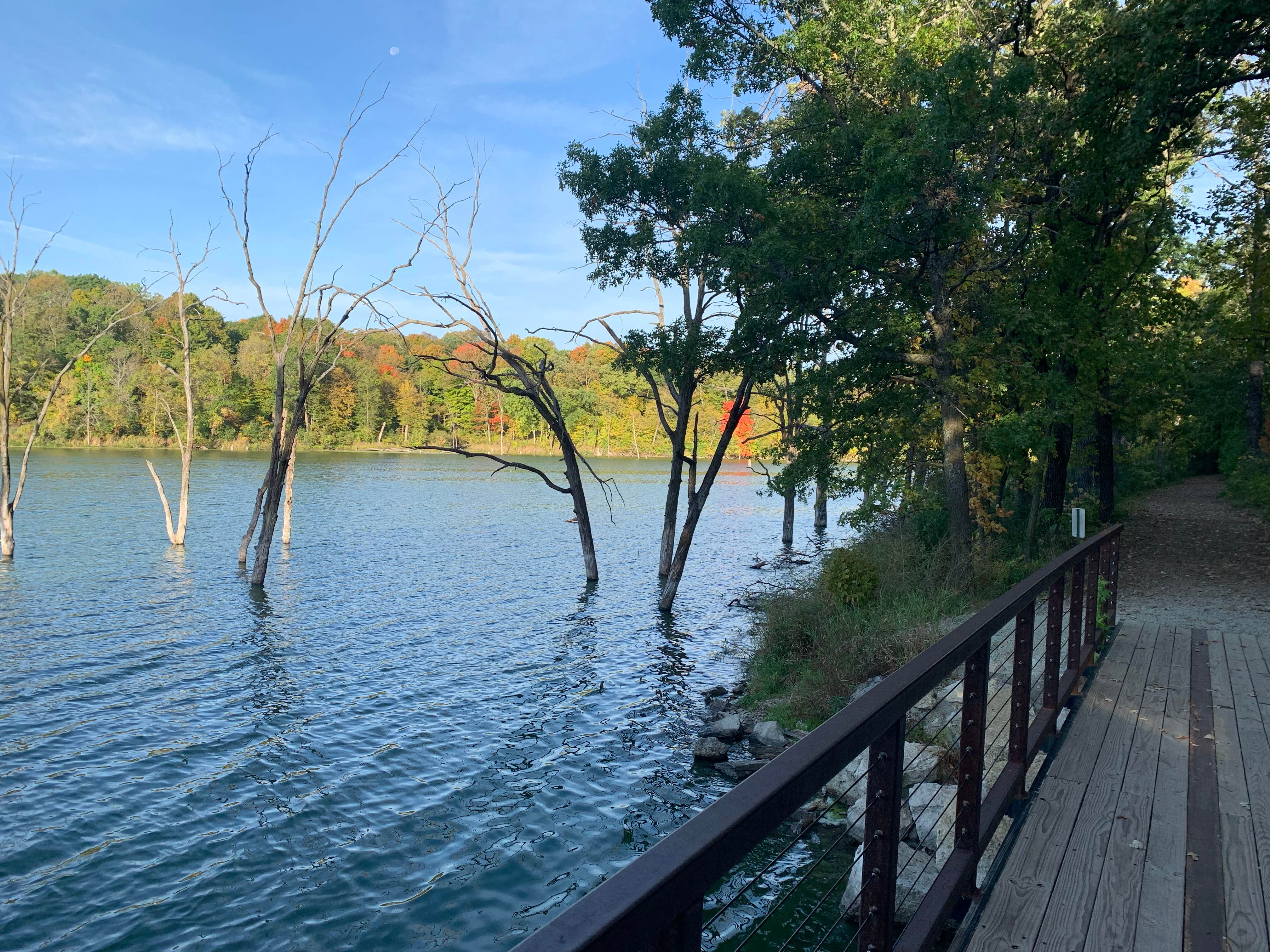 Chester Woods Park Camping | Eyota, Minnesota