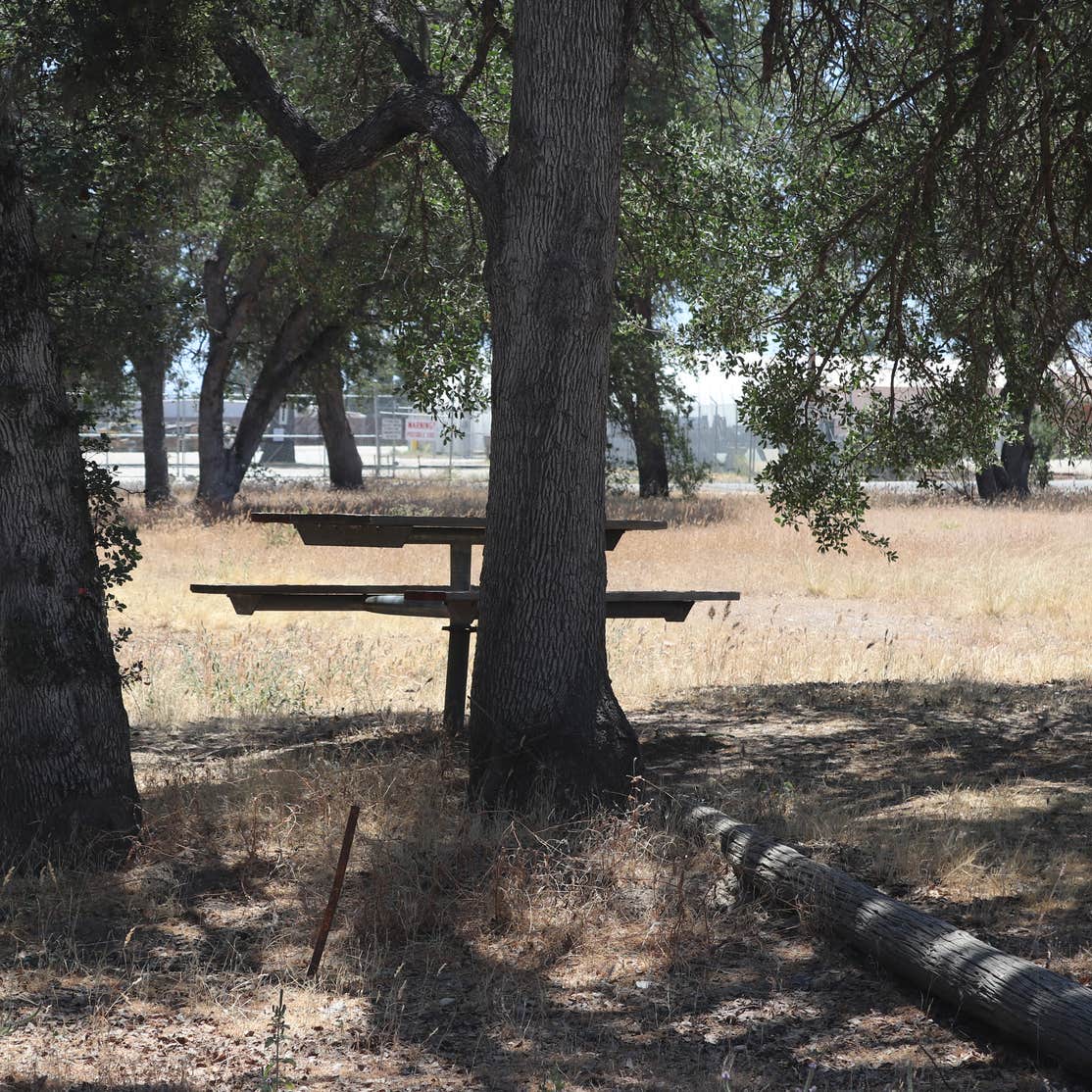 Military Park Fort Hunter Liggett Primitive Campground | Jolon, California