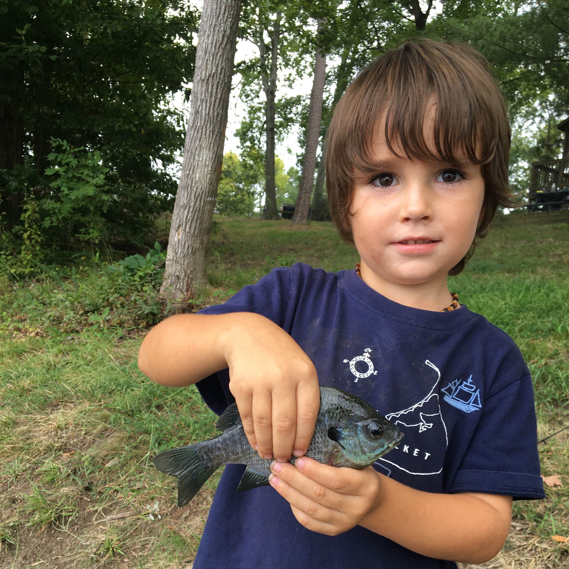 Hyco Lake State Park Camping | The Dyrt