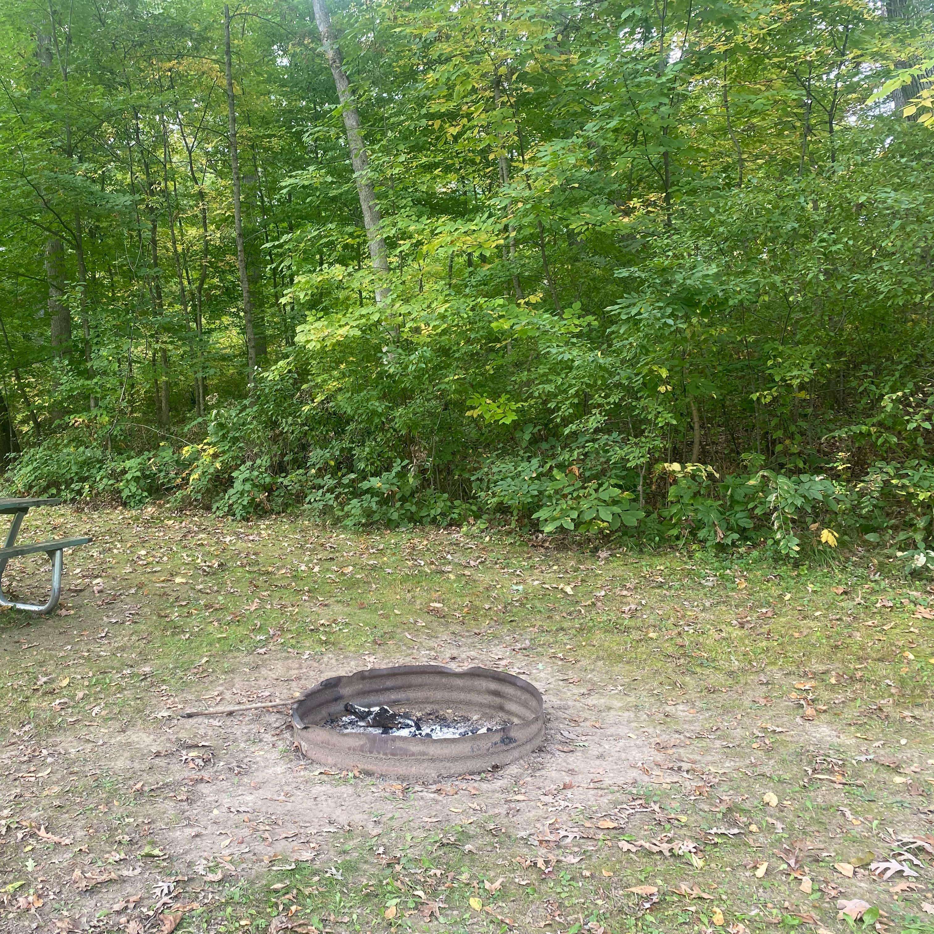 Astico County Park Camping | The Dyrt