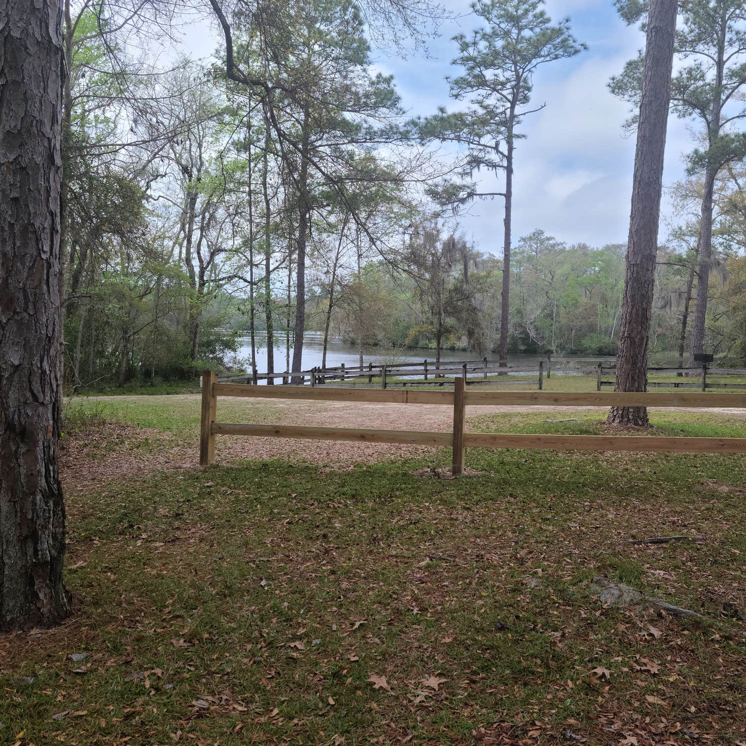 Tate's Hell State Forest Camping | Carrabelle, FL