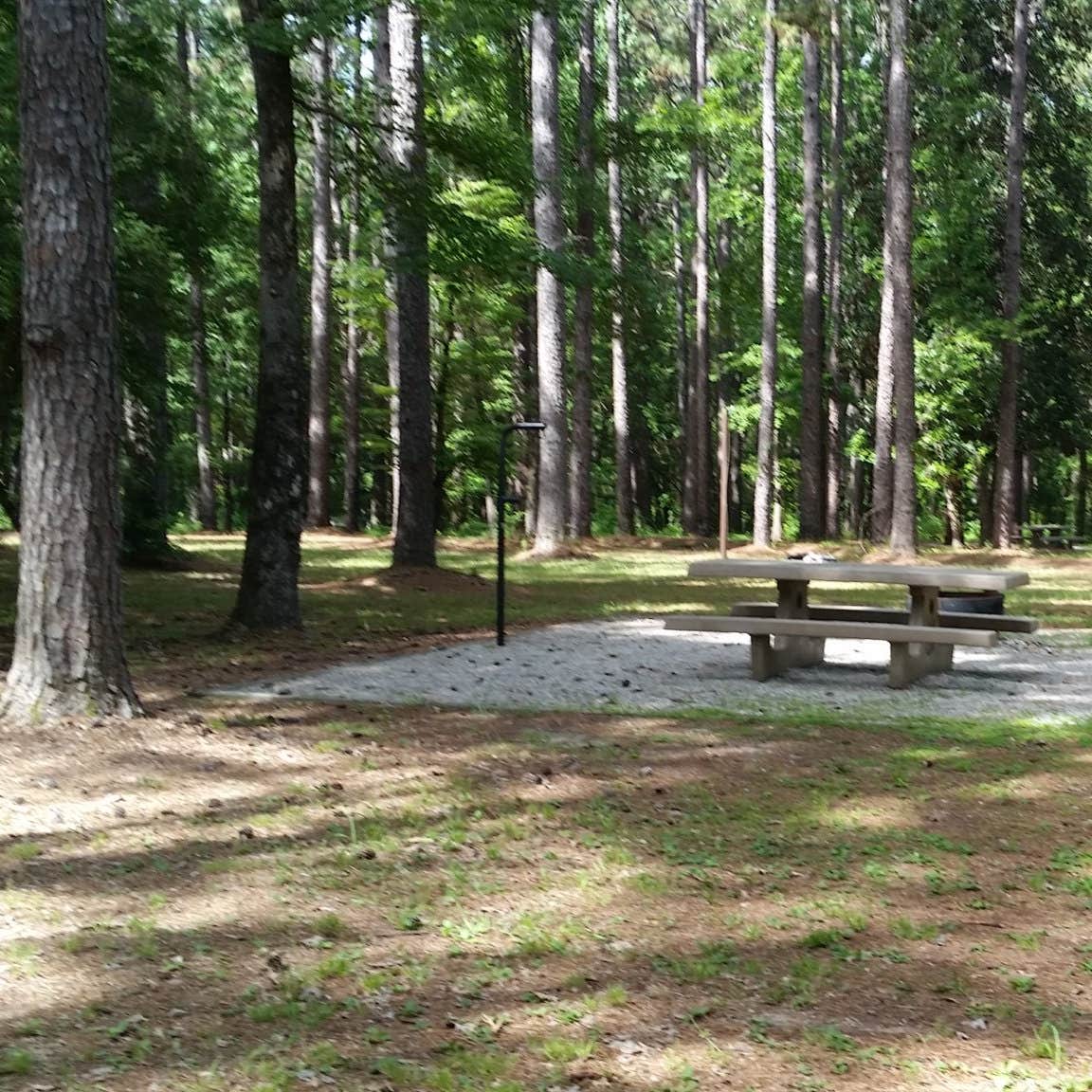 Stuart Lake Recreation Complex, Camping/Day Use | Bentley, Louisiana
