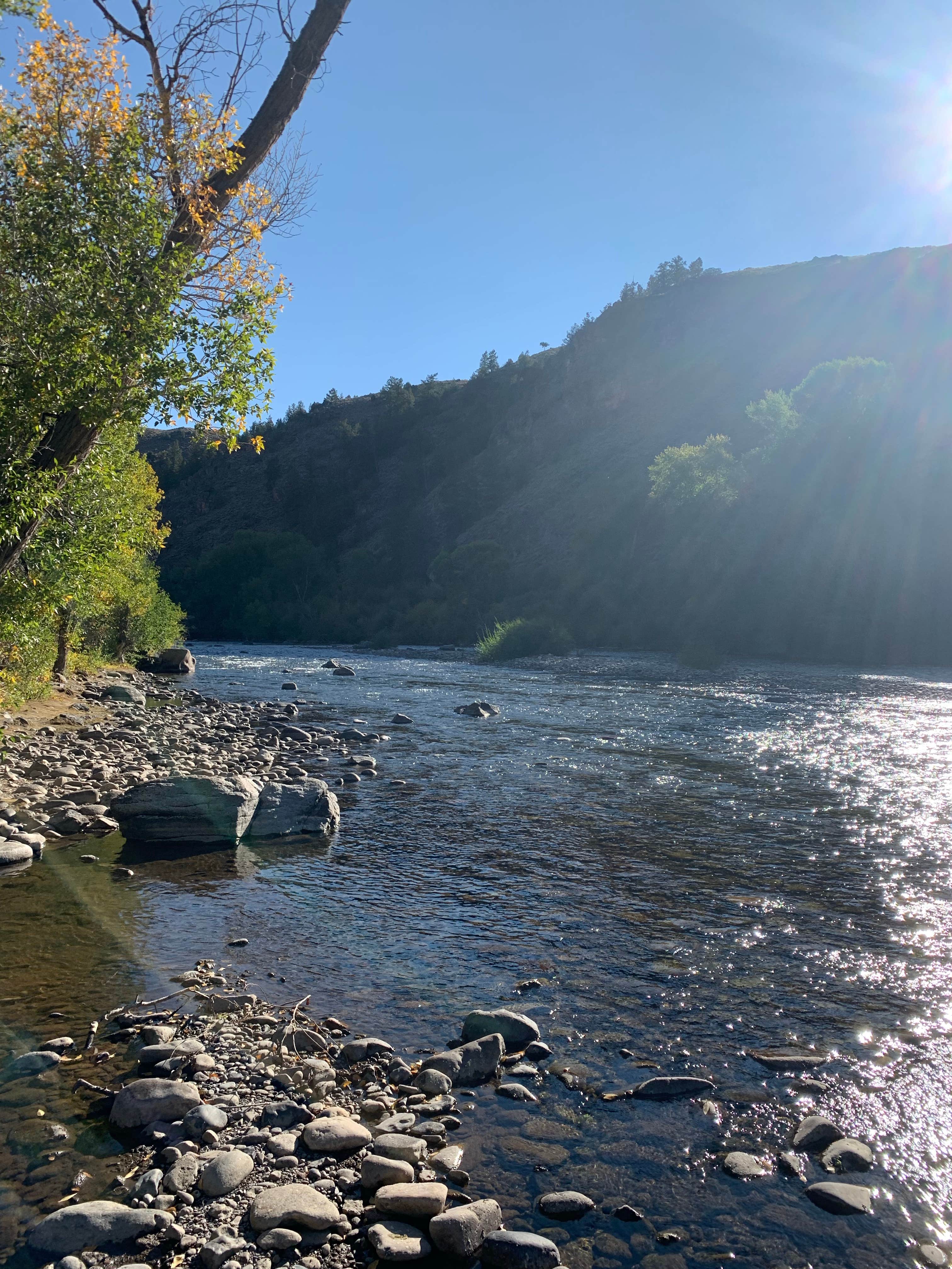 BLM Almont Campground | Almont, CO