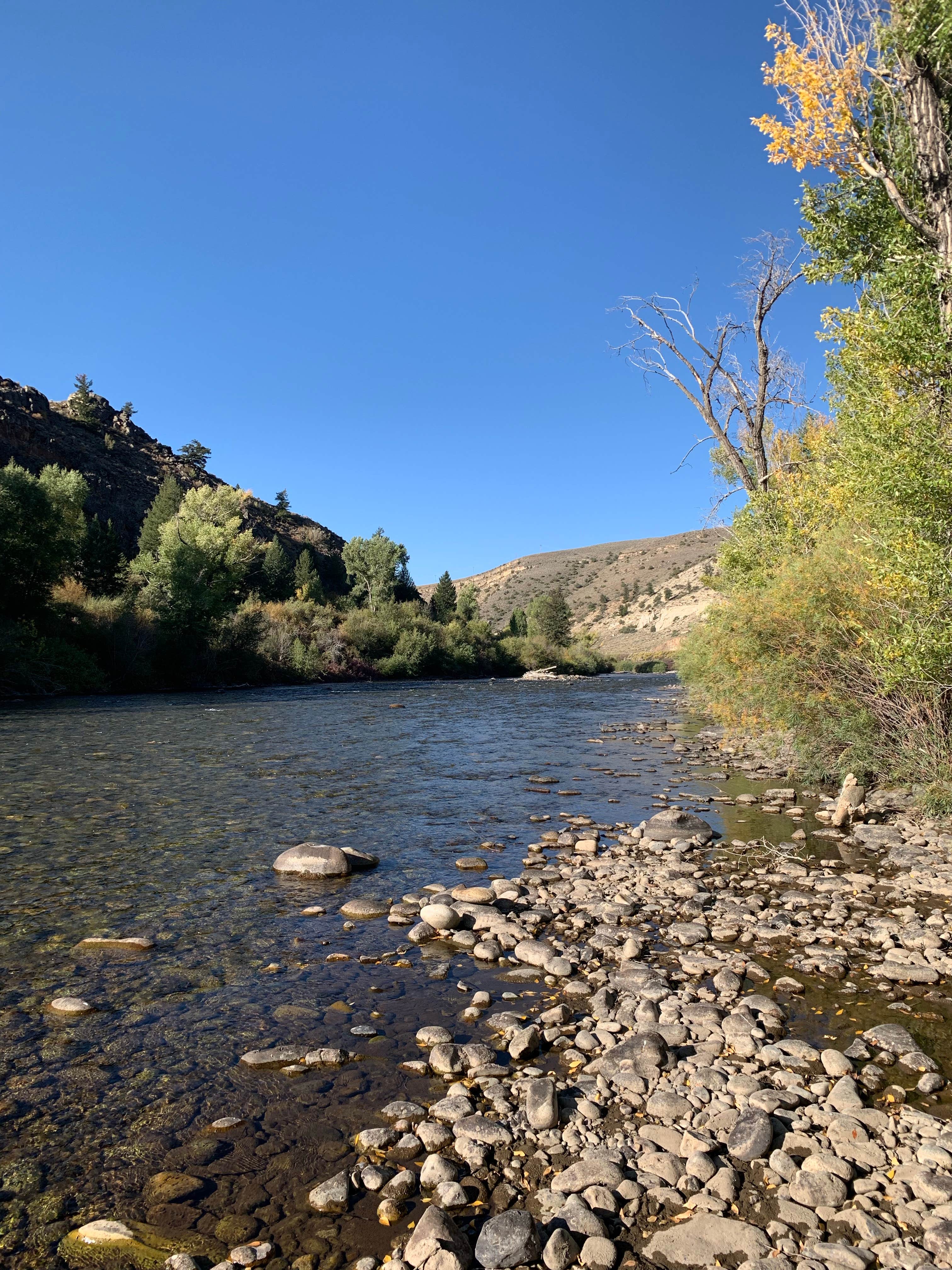 BLM Almont Campground | Almont, CO