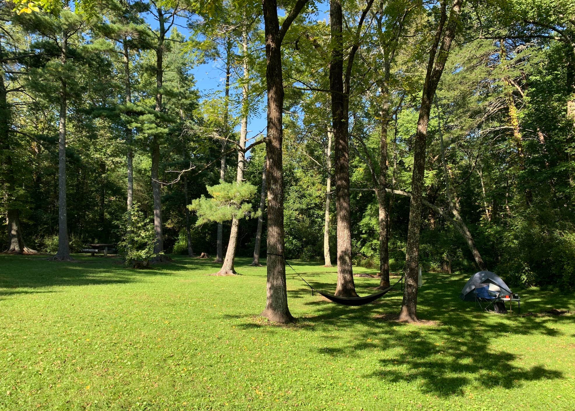 Davis Pond Campsite Camping | The Dyrt