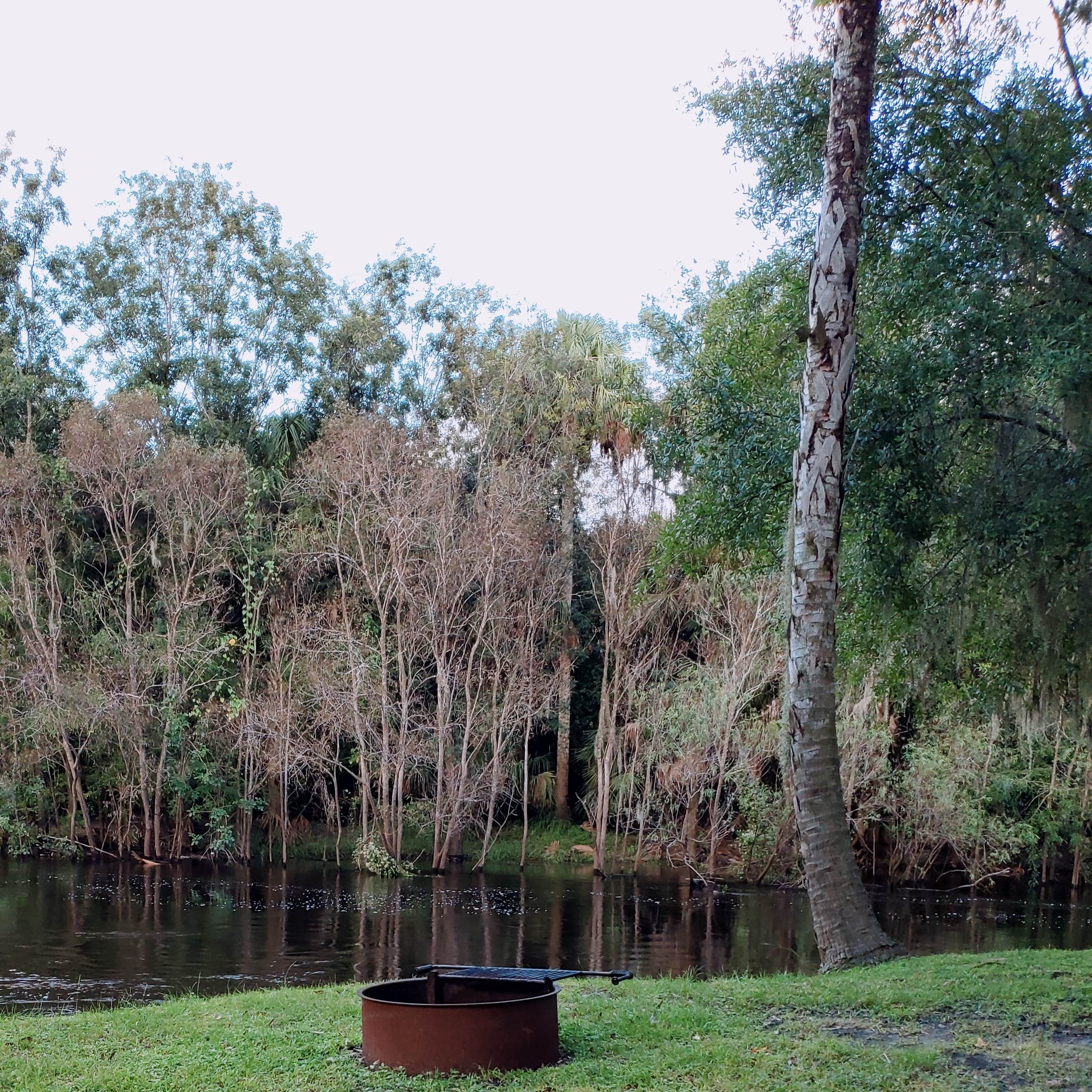 Thousand Trails Peace River Camping | Ona, Florida