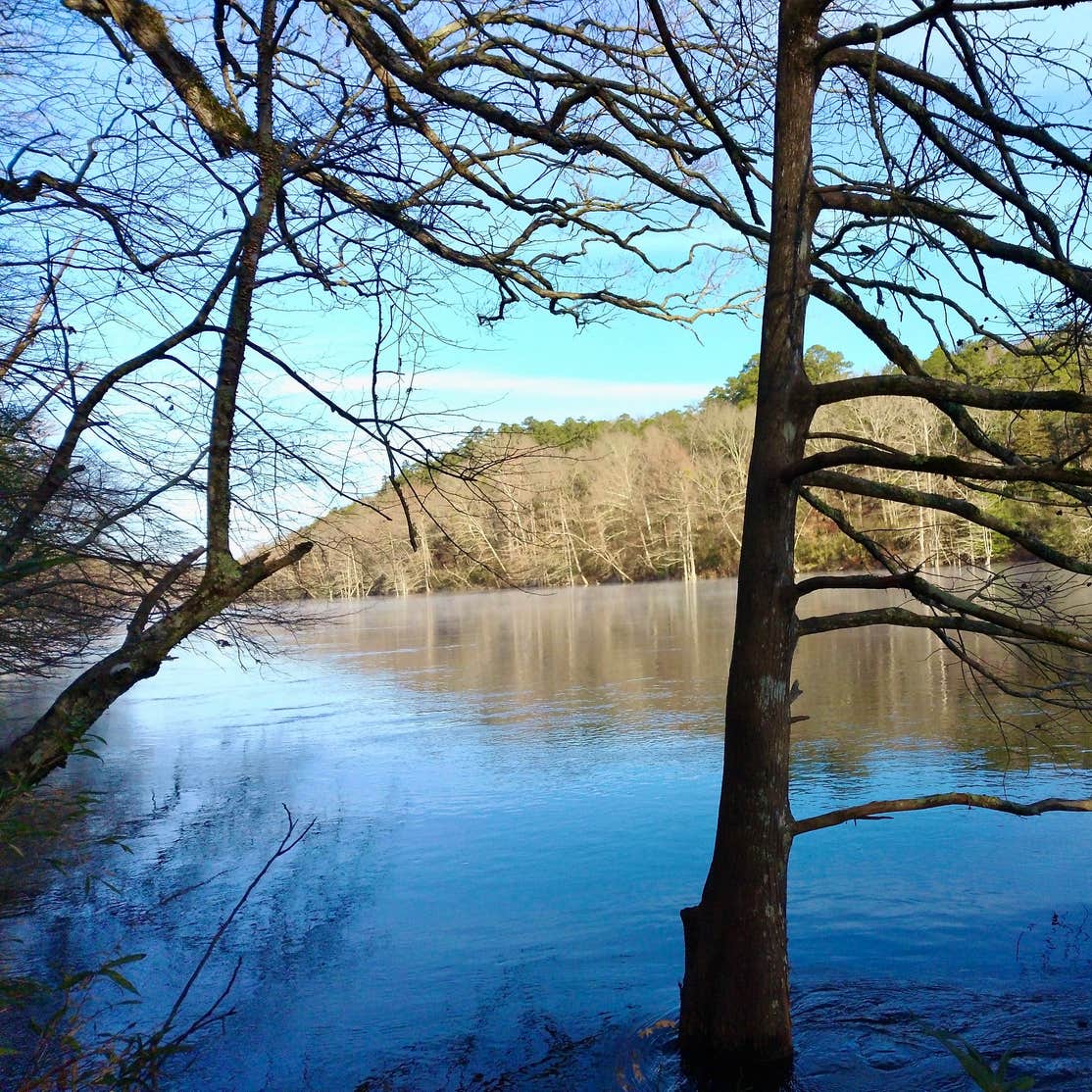 Grapevine Campground — Beavers Bend State Park | Petrolia, California