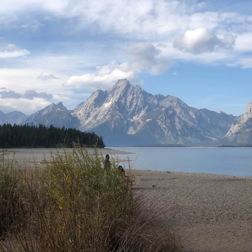 Colter Bay Campground Camping | The Dyrt