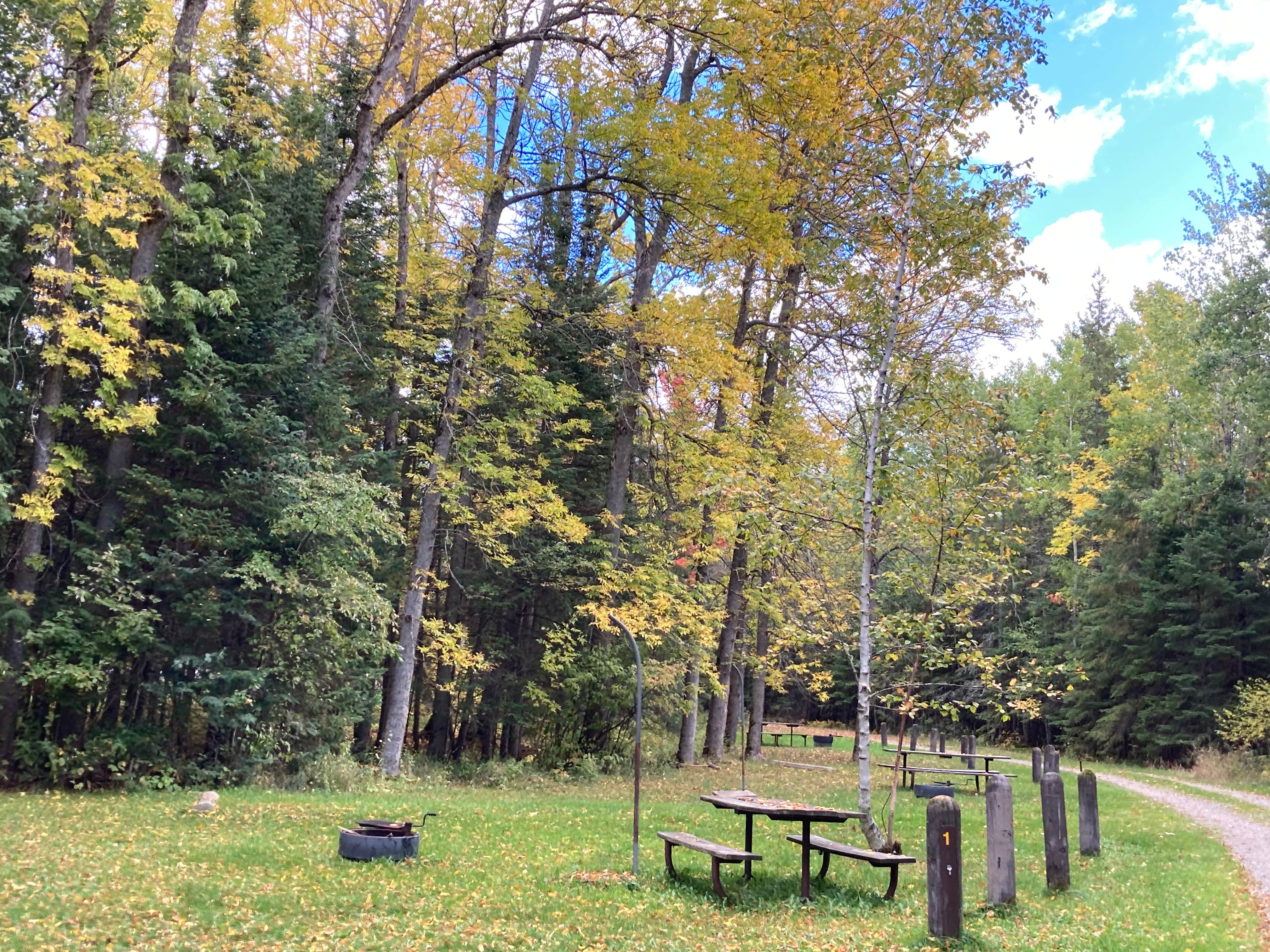 Wakemup Bay — Kabetogama State Forest Camping | Cook, MN