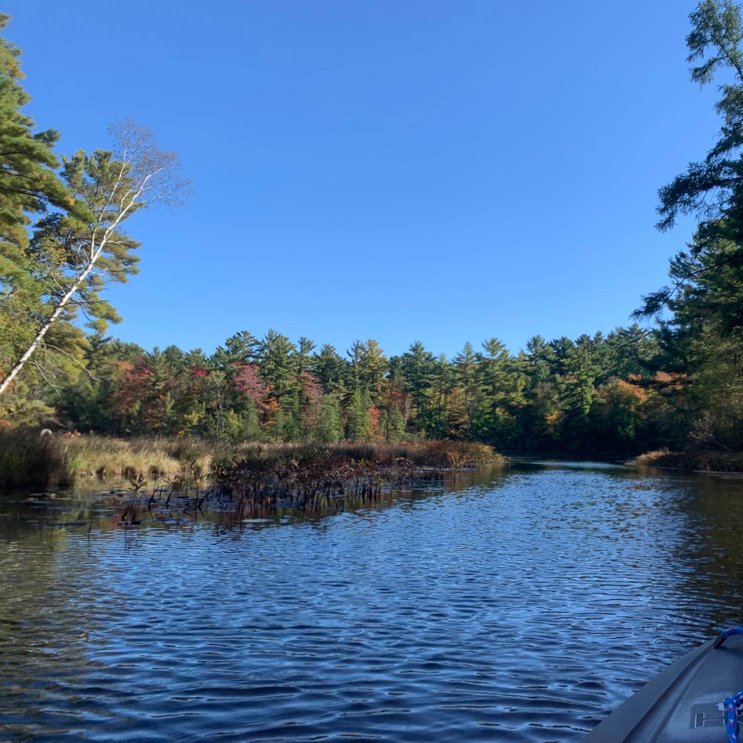 Hartman Creek State Park Campground | King, Wisconsin