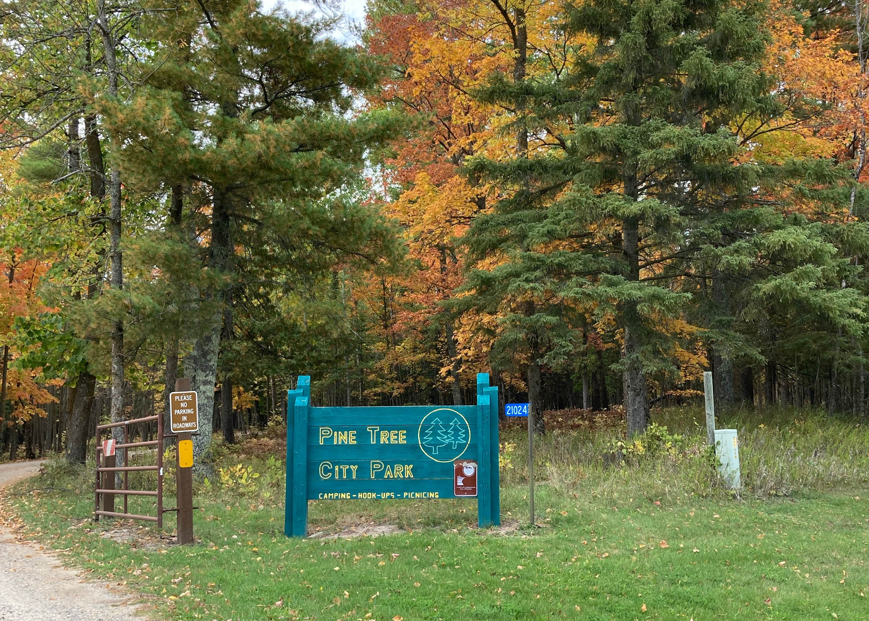 Pine Tree Park Camping | The Dyrt