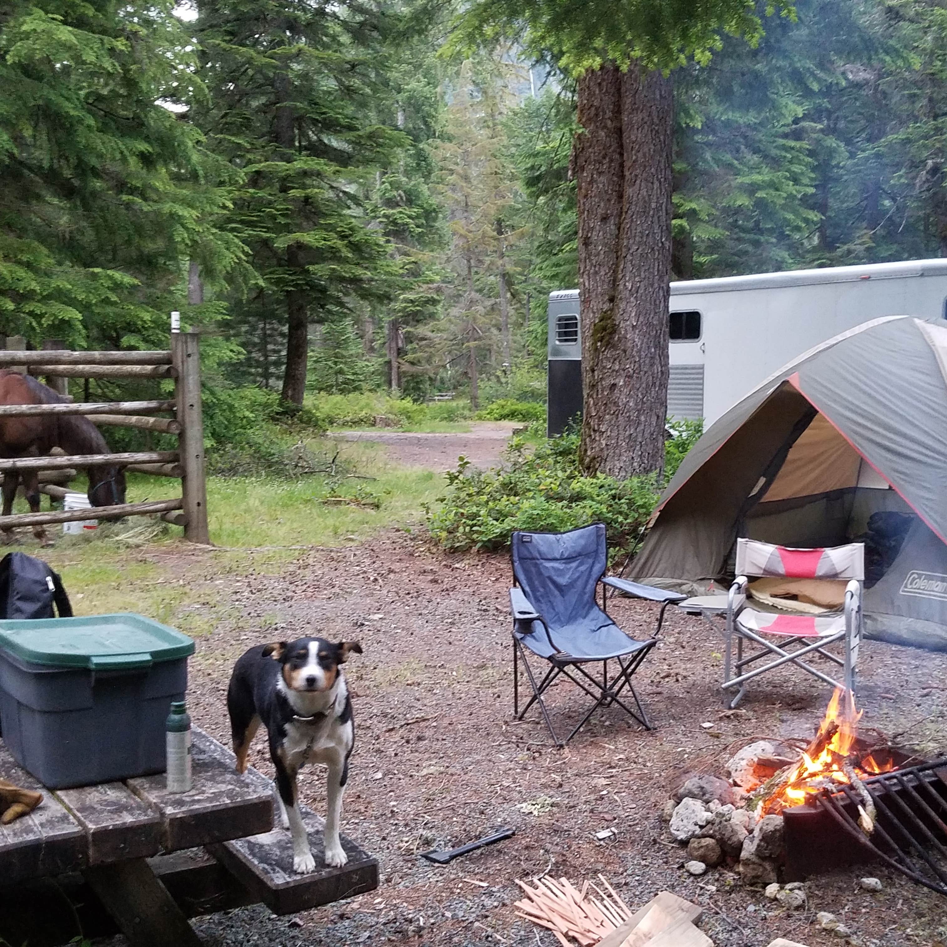 Kalama Horse Camp Campground | Cougar, WA