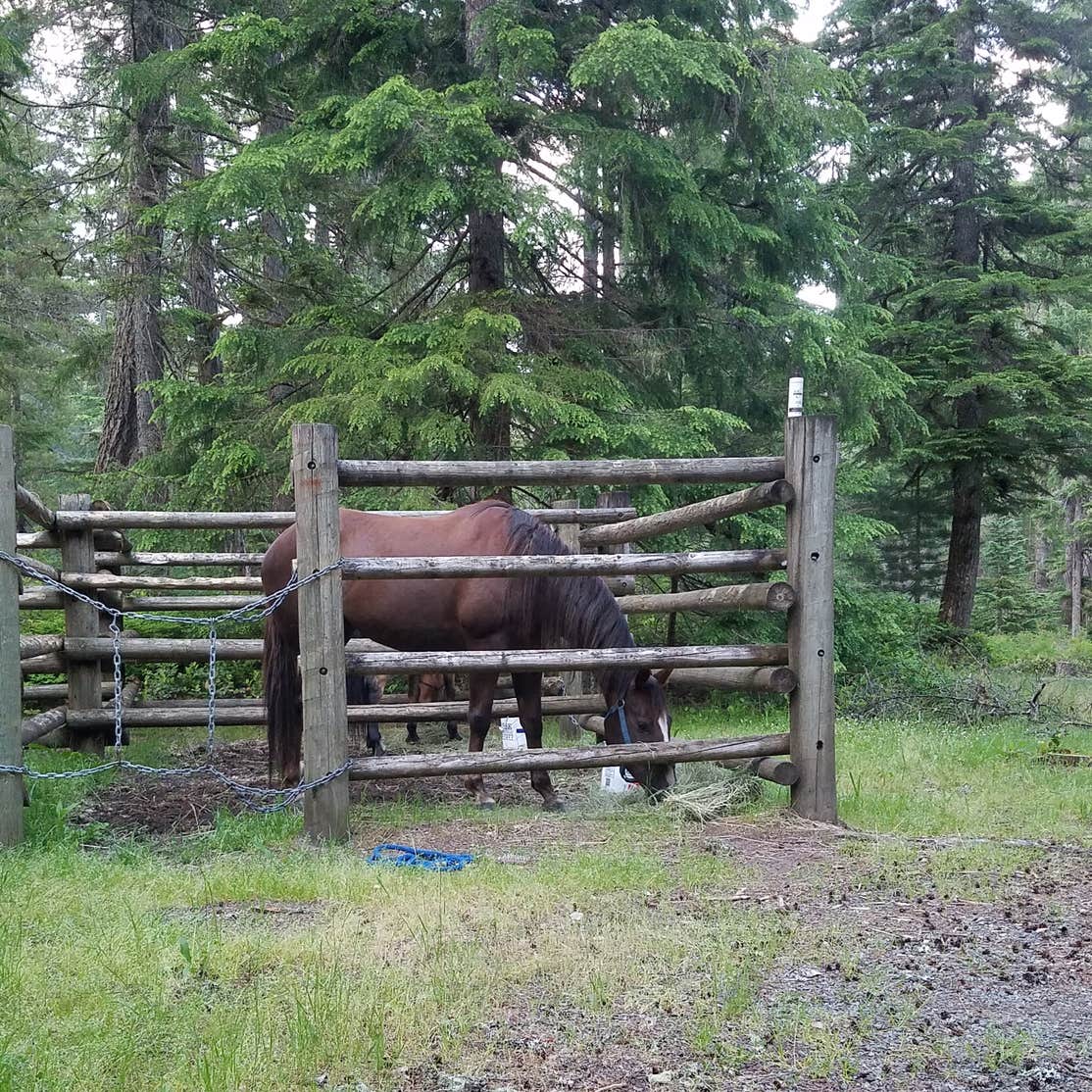 Kalama Horse Camp Campground | Cougar, WA