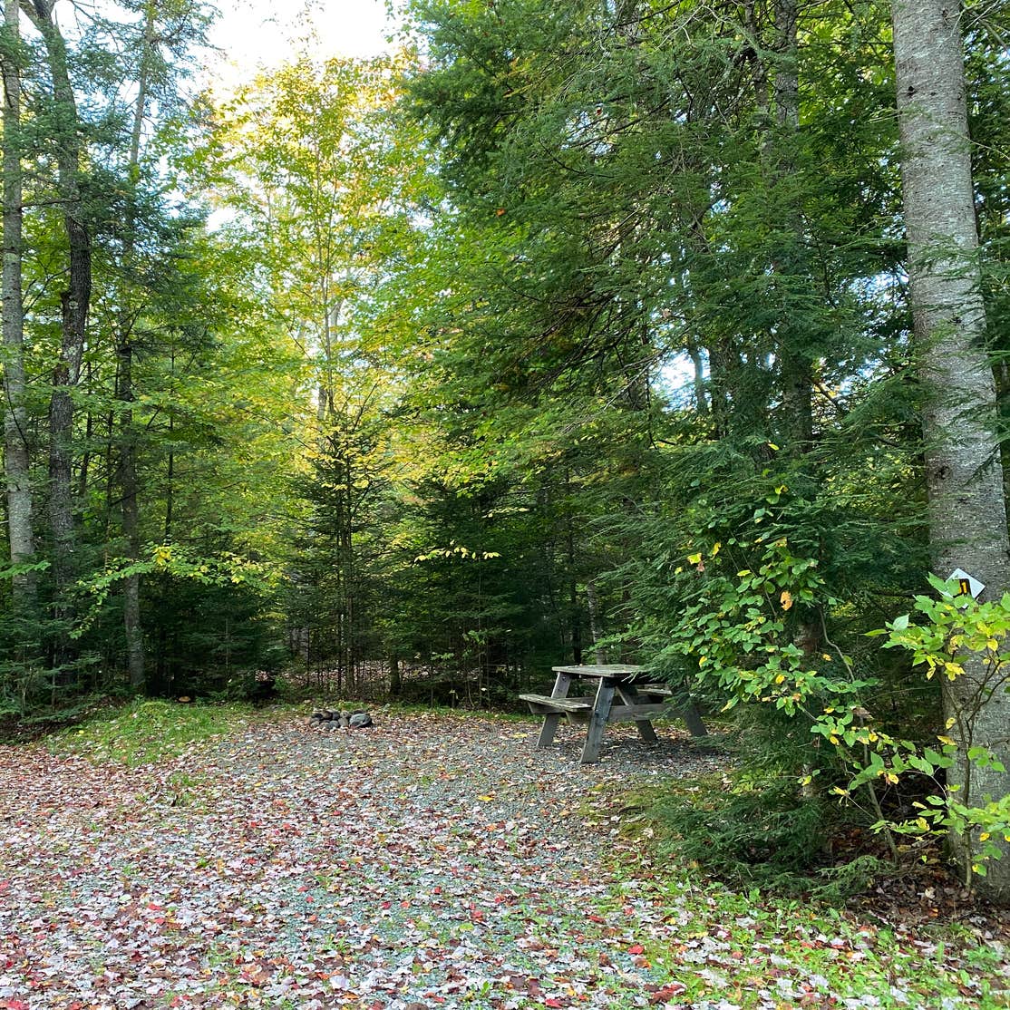 Fransted Family Campground | Franconia, NH