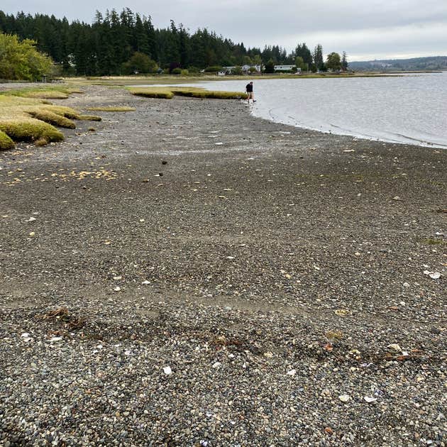 Belfair State Park Campground | Belfair, WA