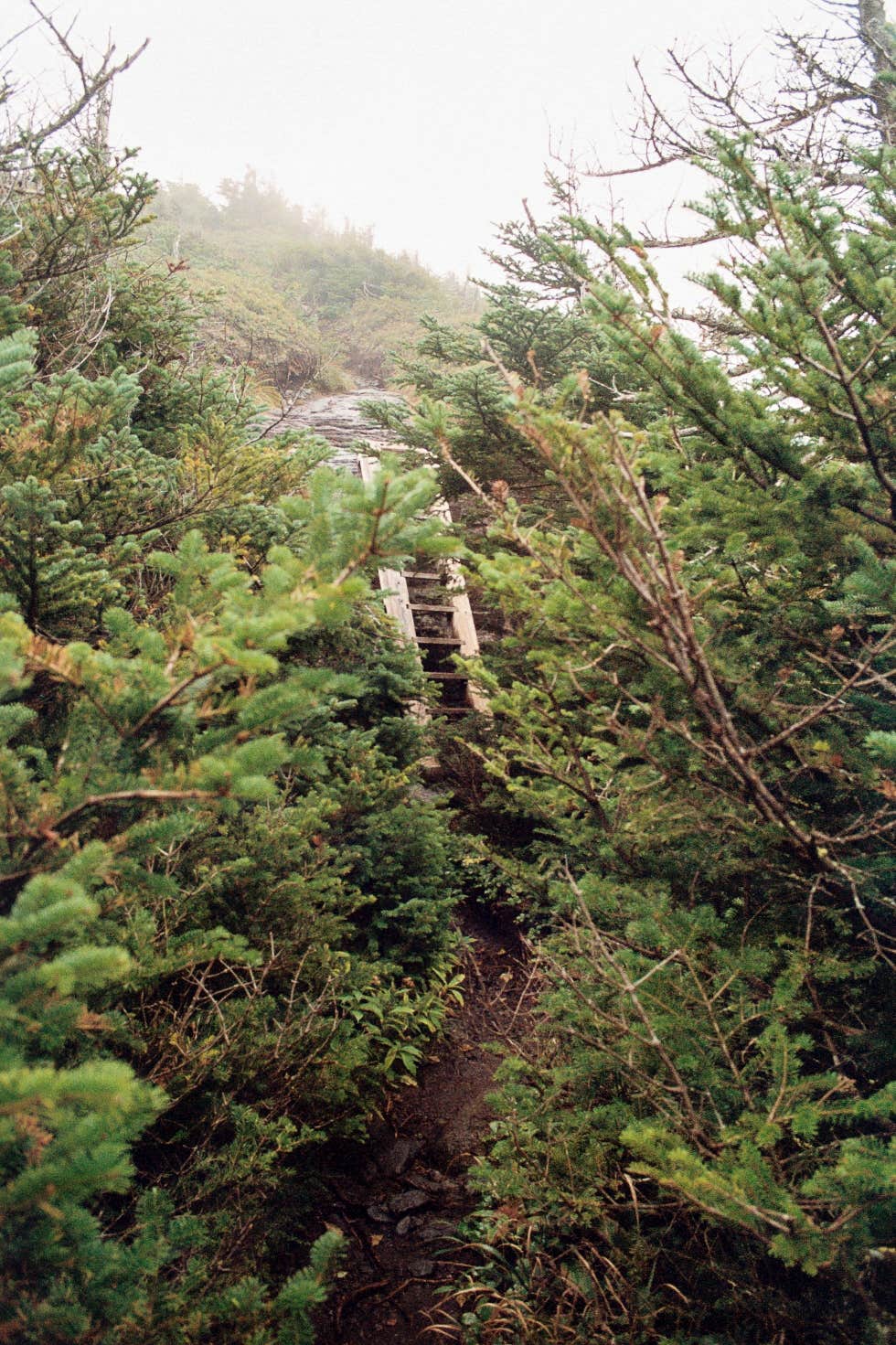 Lake Colden Camping | Keene Valley, NY