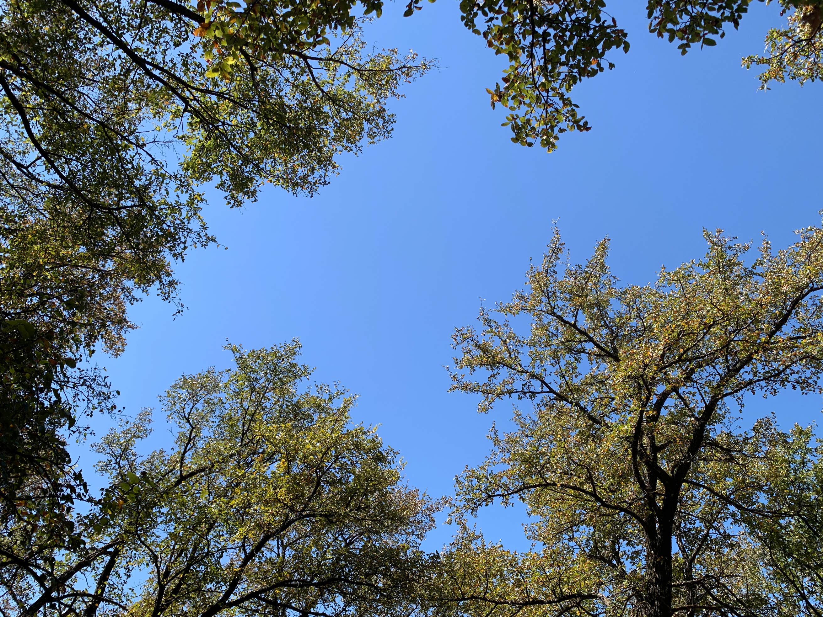 Cedar Hill State Park Camping | The Dyrt