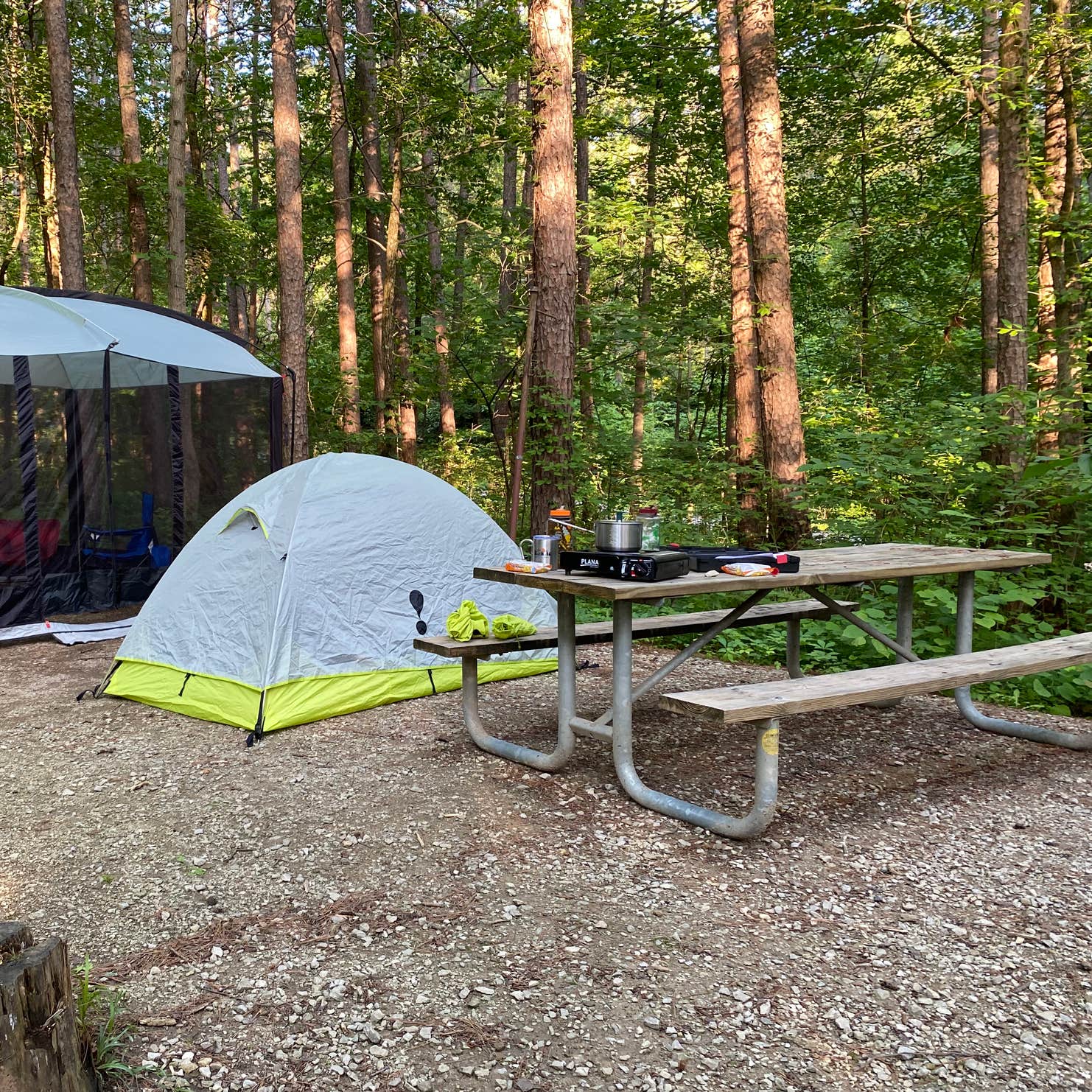 Big Run State Park Campground | Swanton, MD