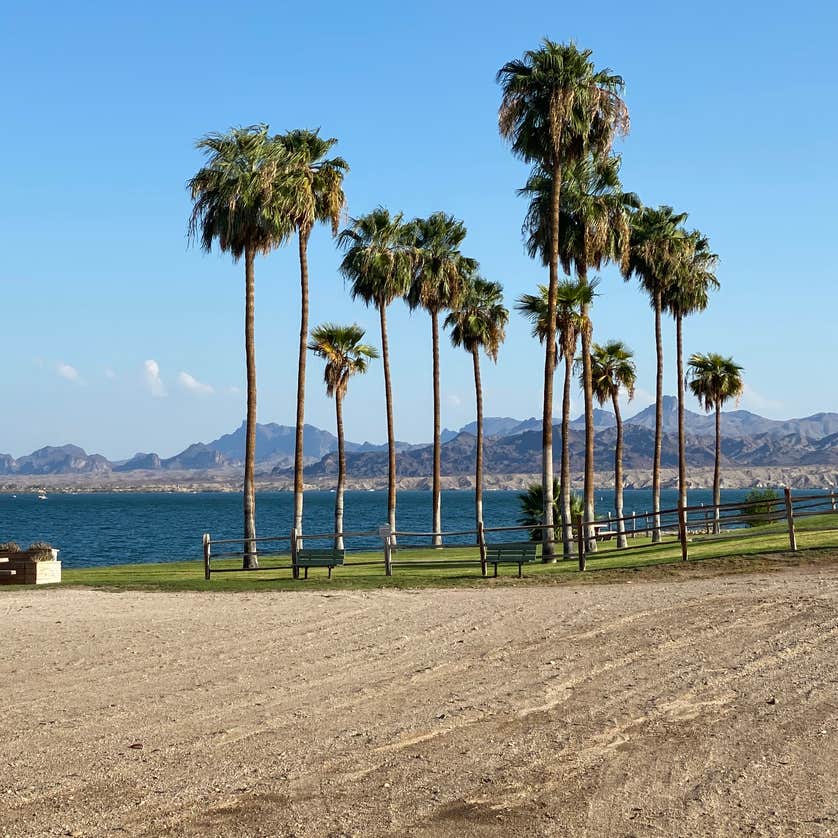 Havasu Landing Resort & Casino Campground Camping | The Dyrt