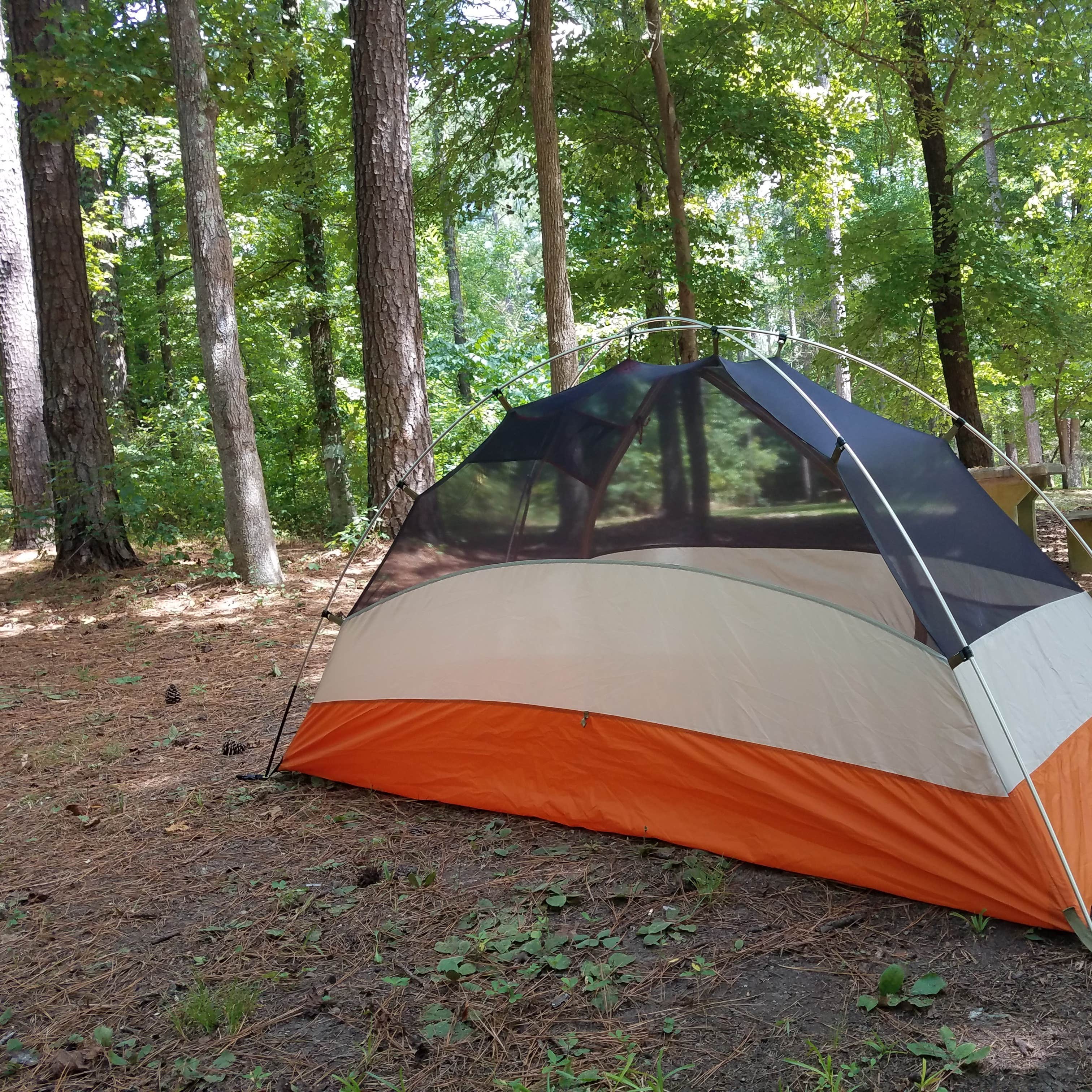 Brick House Campground (Sc) — Francis Marion And Sumter National ...