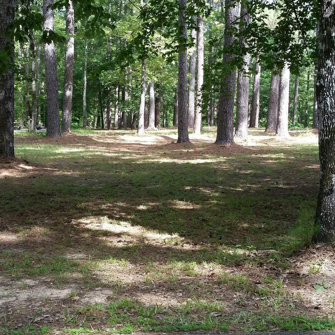 Stuart Complex Camping | Pollock, LA
