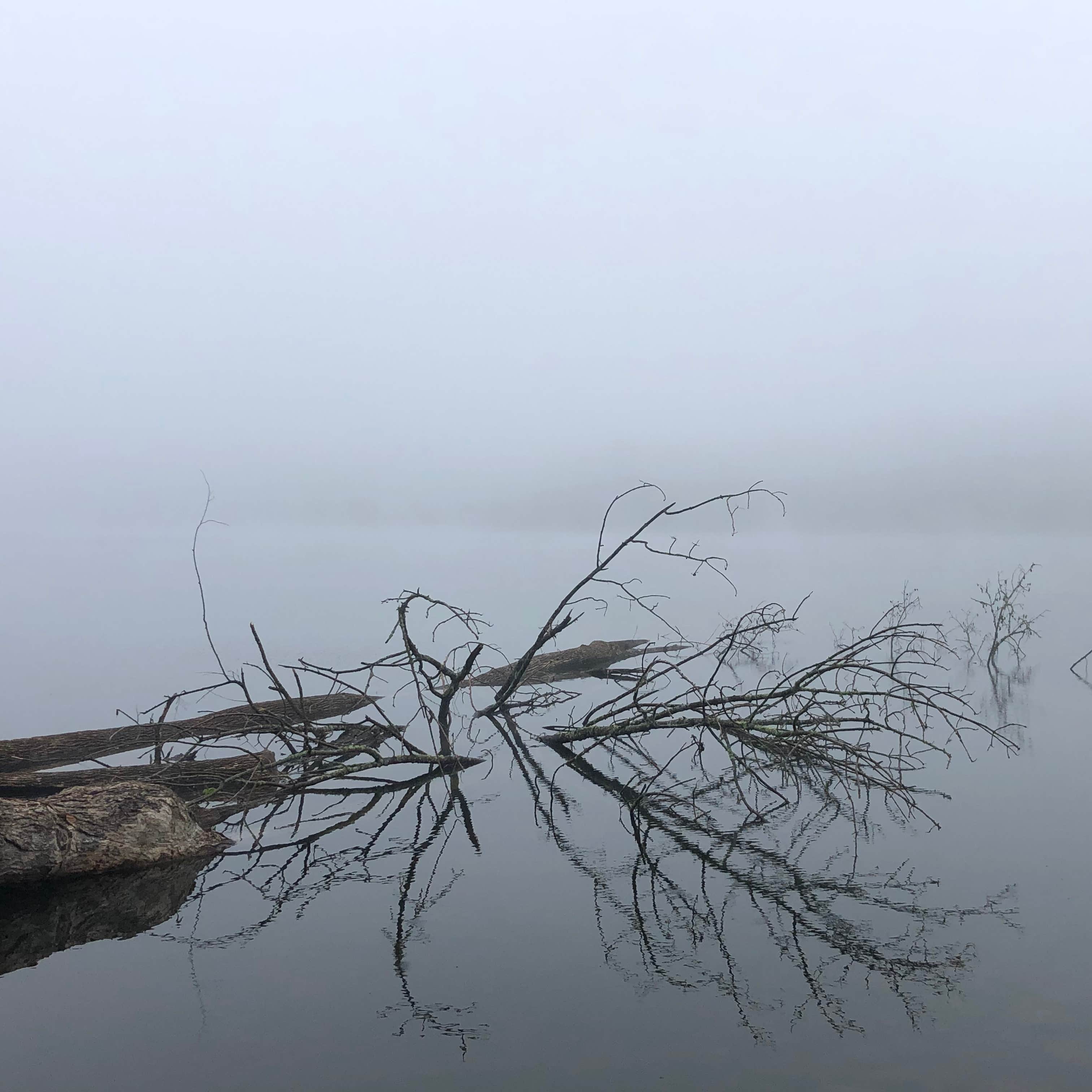 Laura Lake Recreation Area Camping | The Dyrt