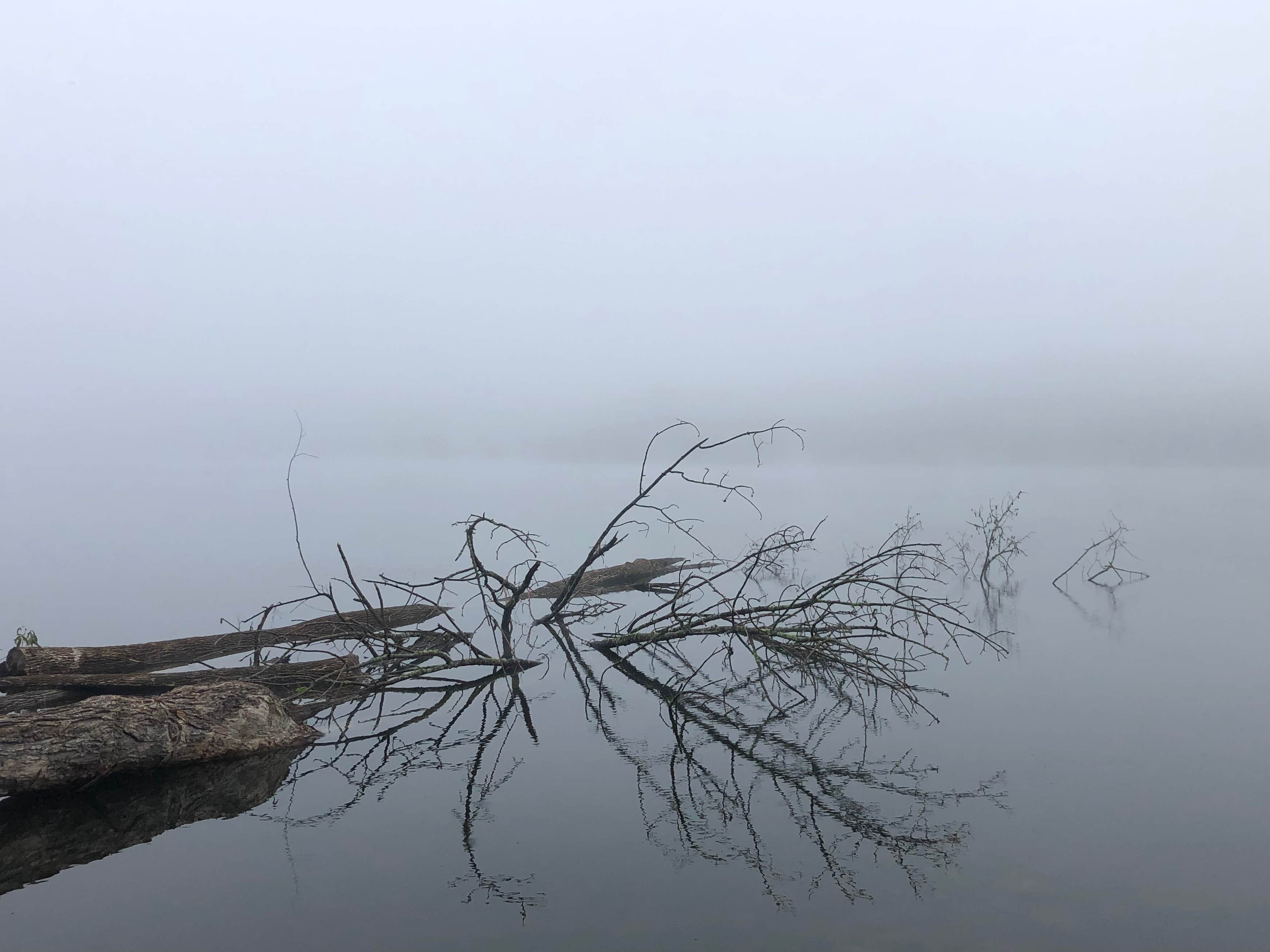 Laura Lake Recreation Area Camping | The Dyrt