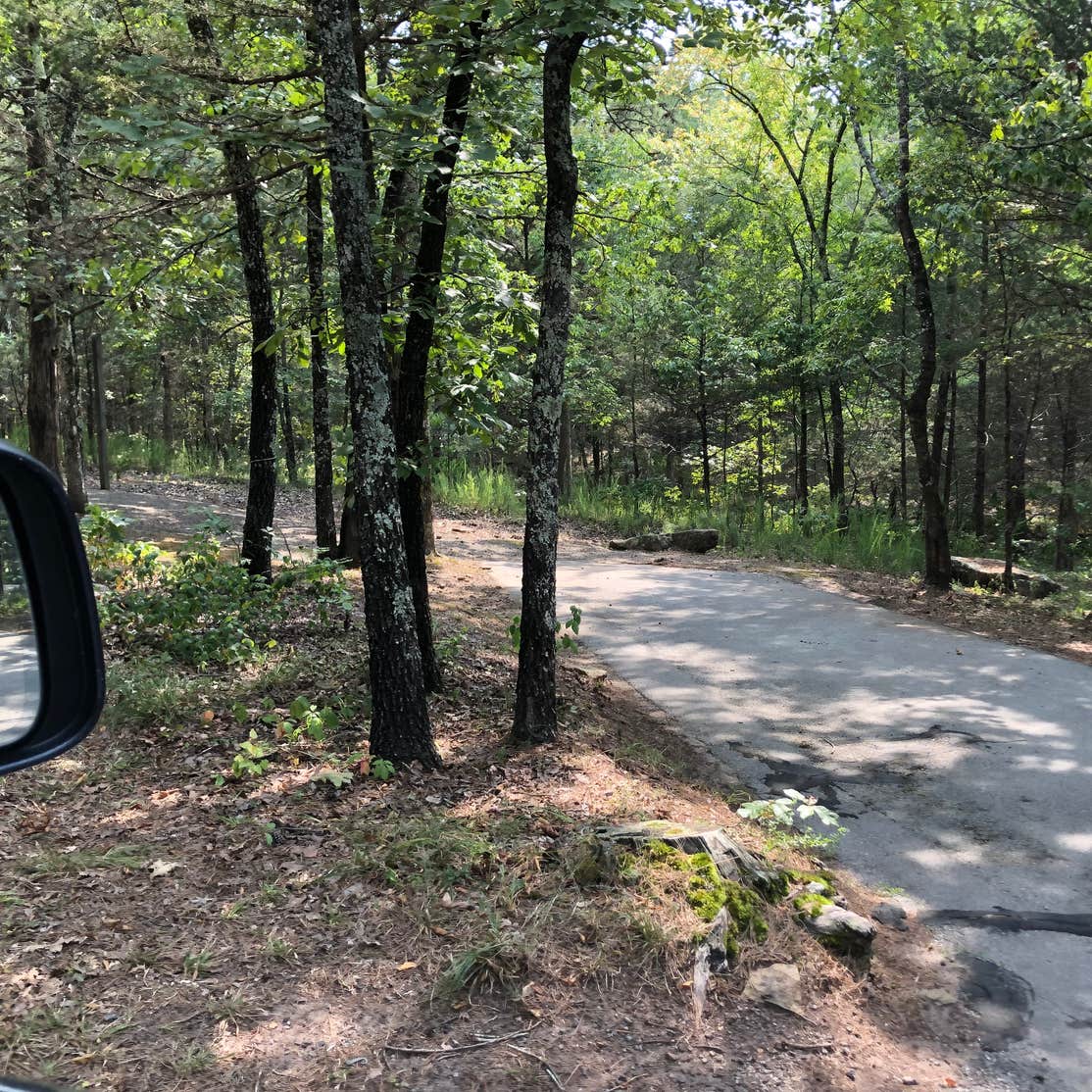 Dam Site(greers Ferry) Camping | The Dyrt