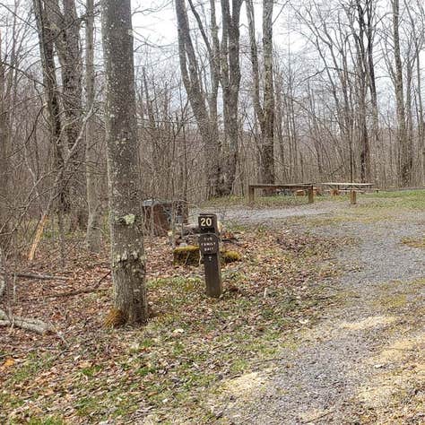 Spruce Knob Lake Campground | Riverton, West Virginia