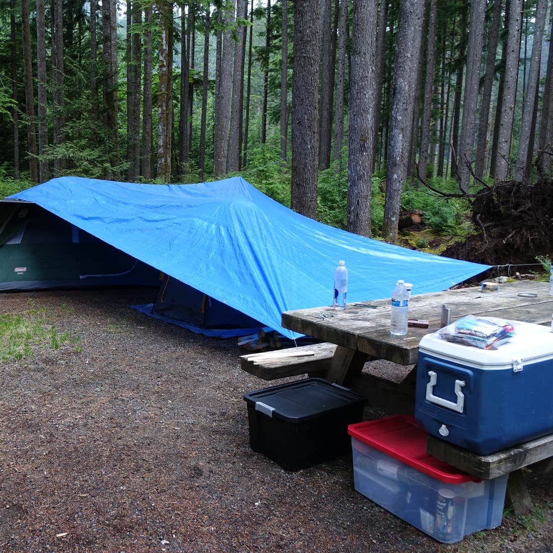 Middle Fork Campground Camping | The Dyrt