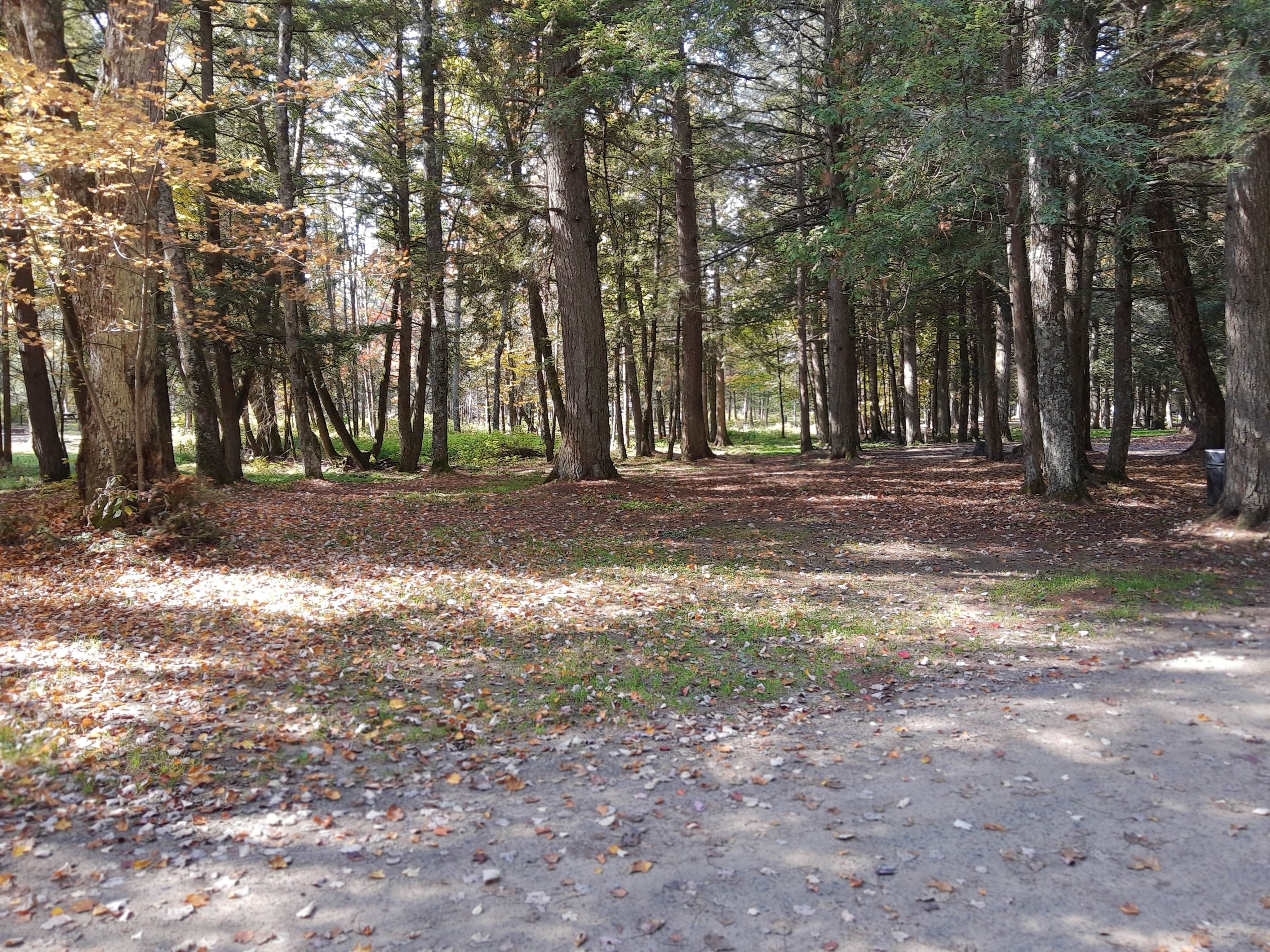 Lake Emily Park Campground | Florence, Wisconsin