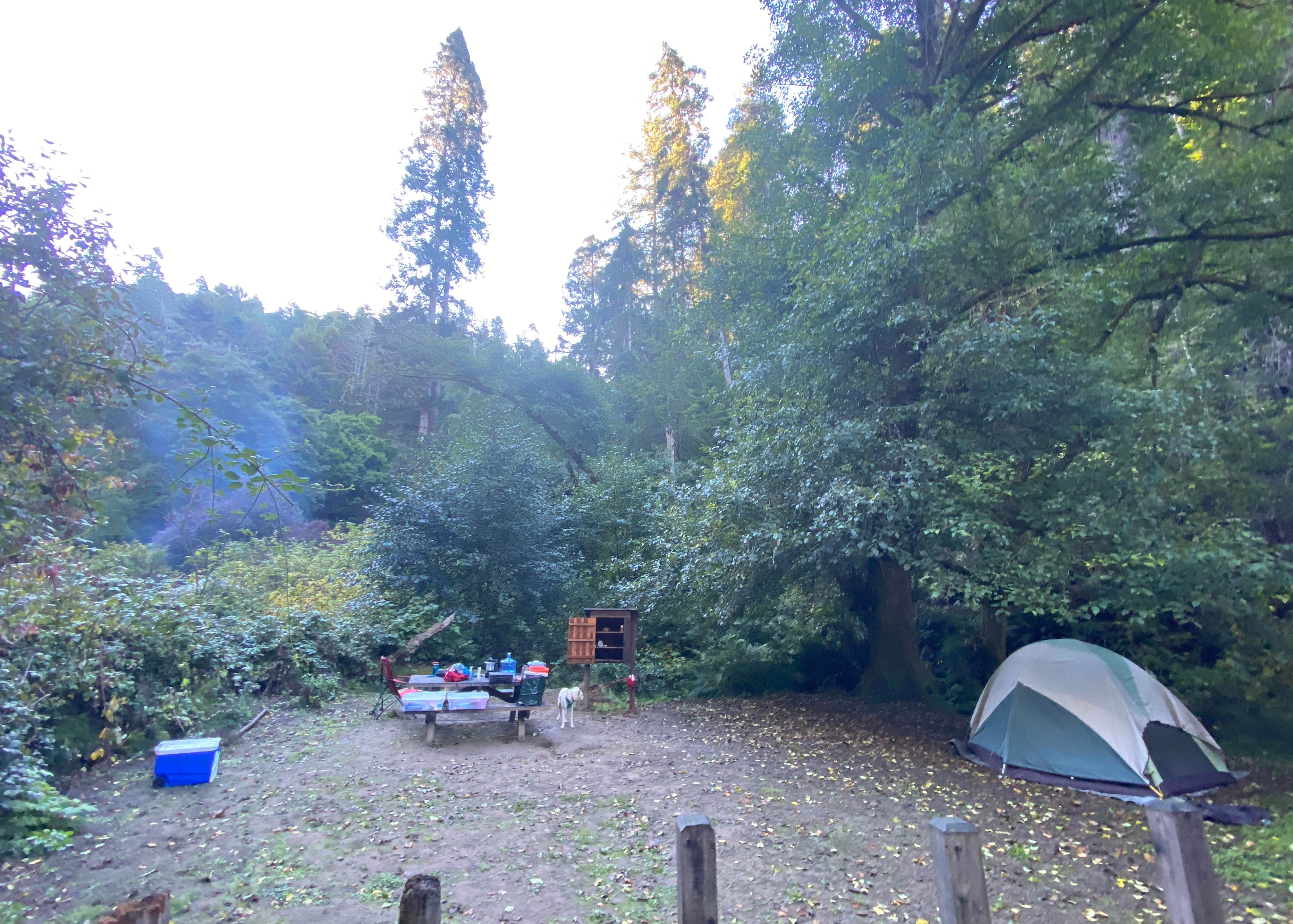 Russian Gulch State Park Camping | The Dyrt