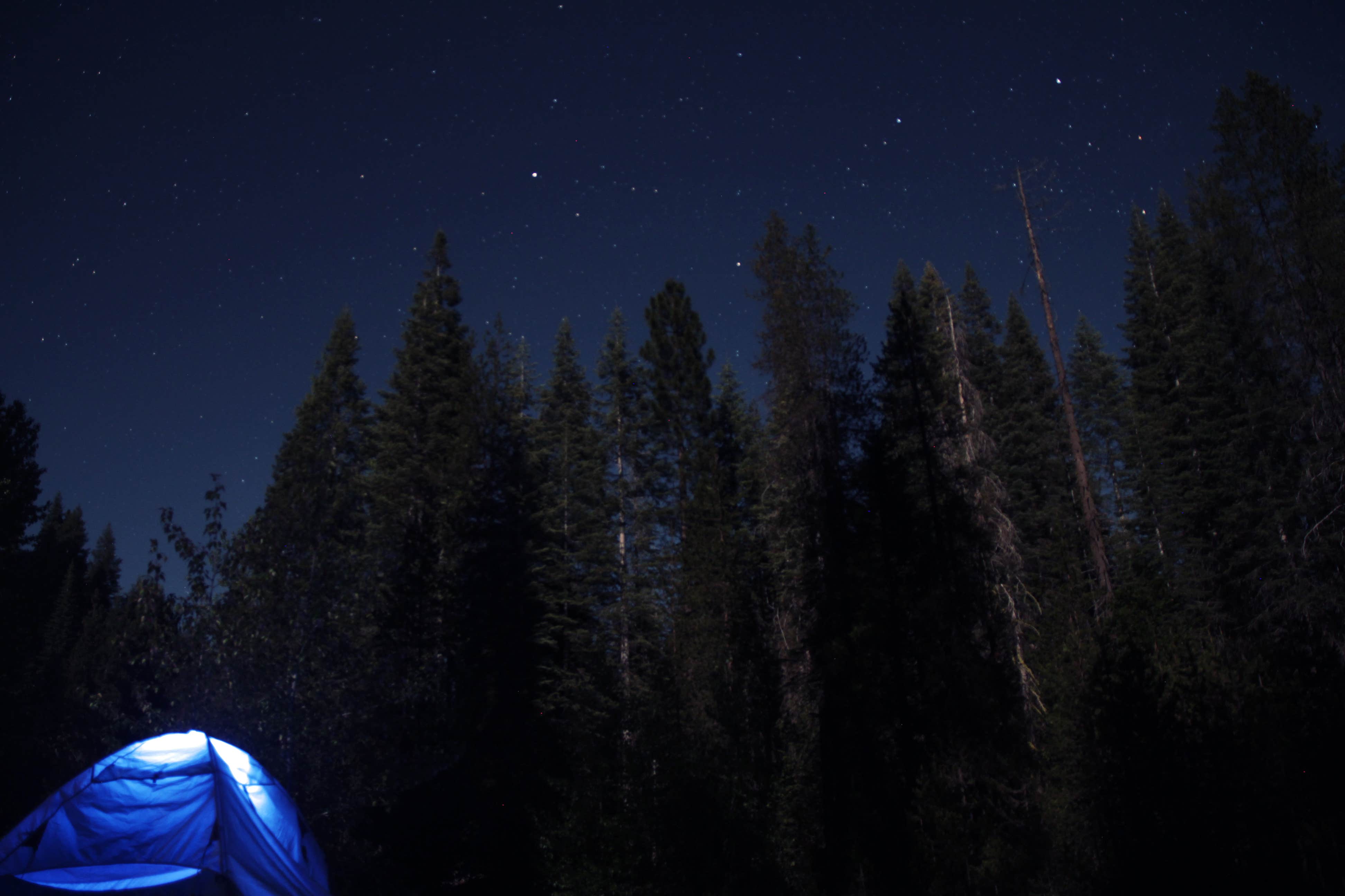 Soquel Campground | Bass Lake, California