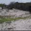Stafford Beach Campground — Cumberland Island National Seashore ...