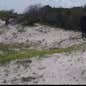 Stafford Beach Campground — Cumberland Island National Seashore ...