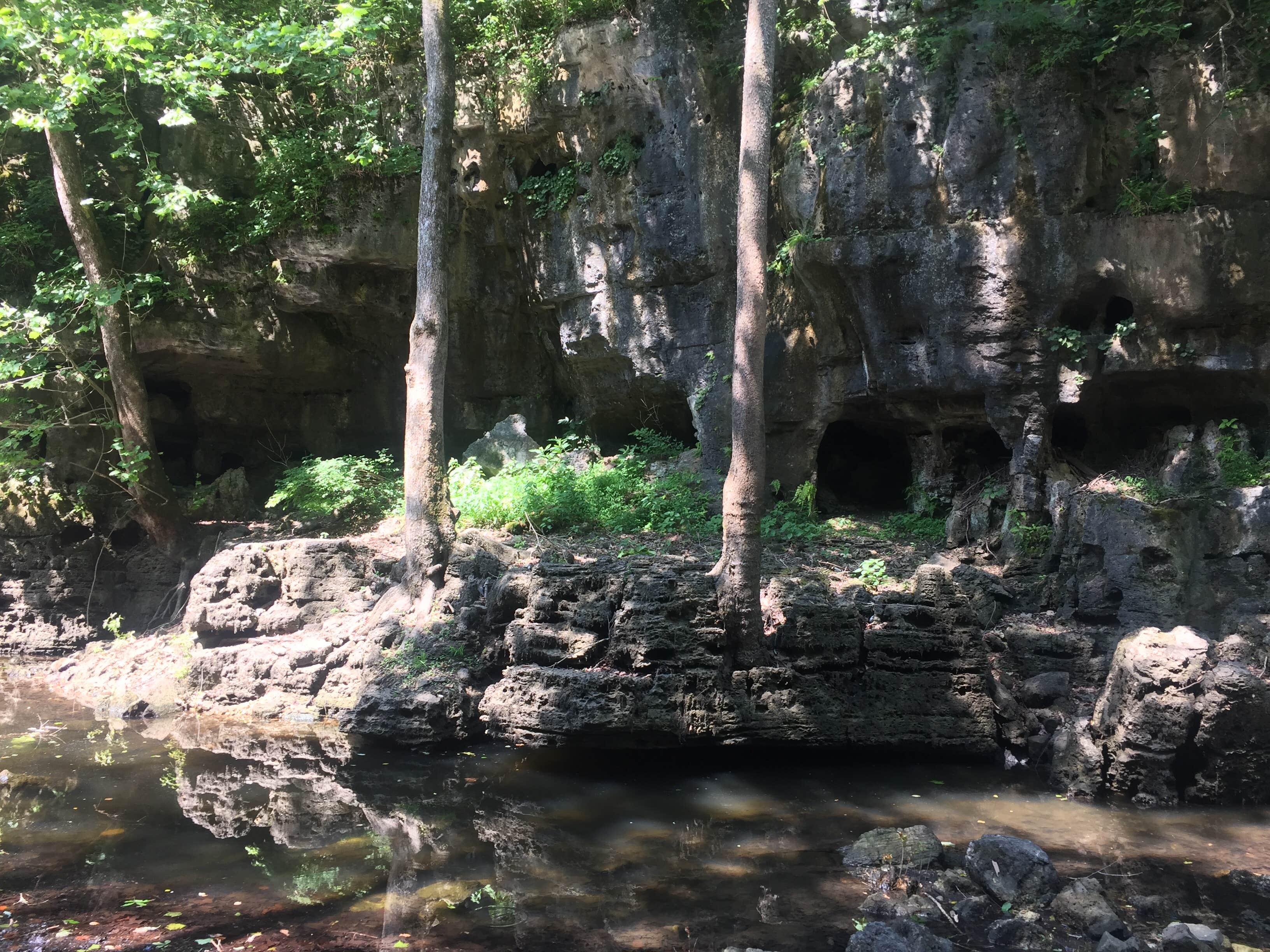 Irish Wilderness Camping | Alton, MO