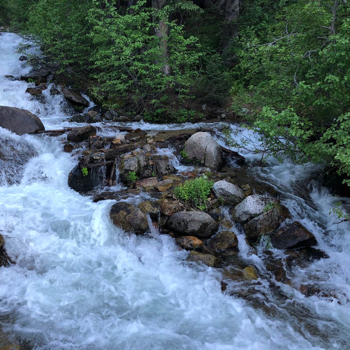 Lynx Creek Camping | The Dyrt