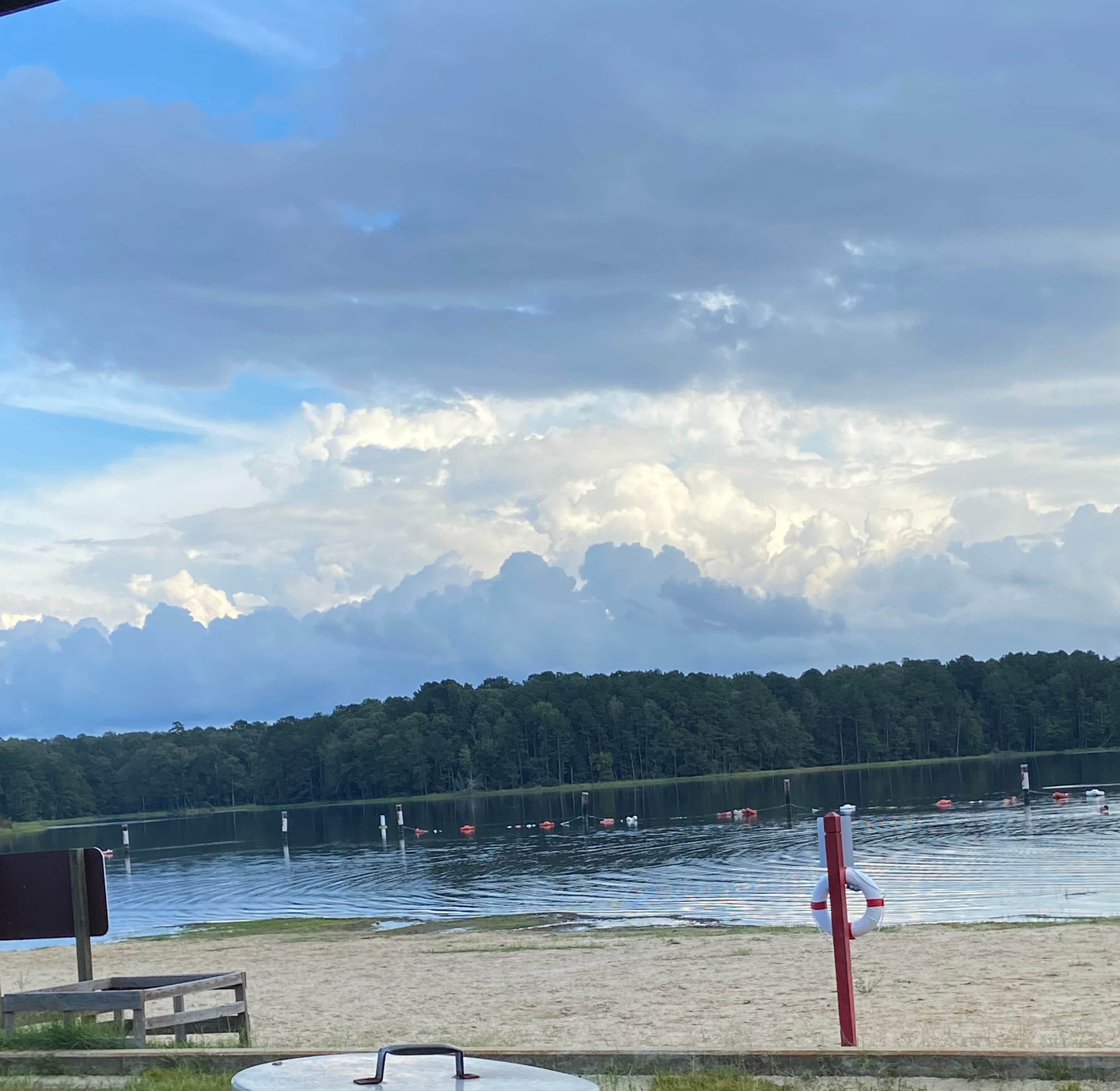 Jimmie Davis State Park Campground | Chatham, LA