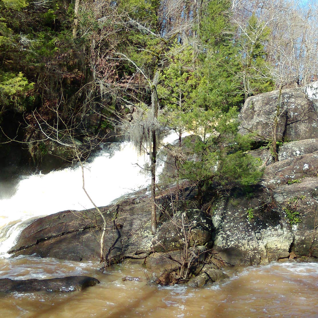 Chewacla State Park Camping | The Dyrt