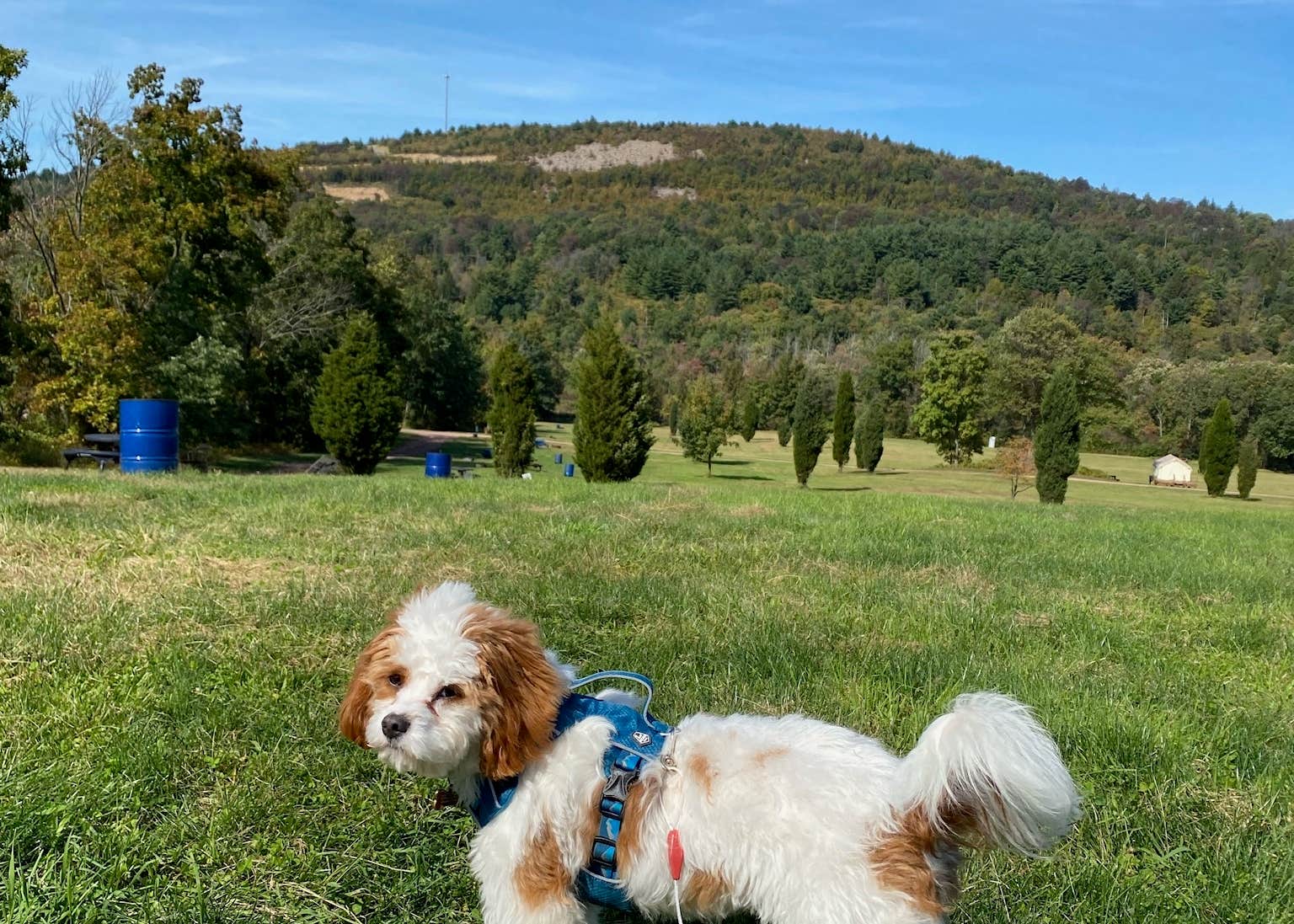 Blue Mountain RV and Camping Resort Camping | The Dyrt