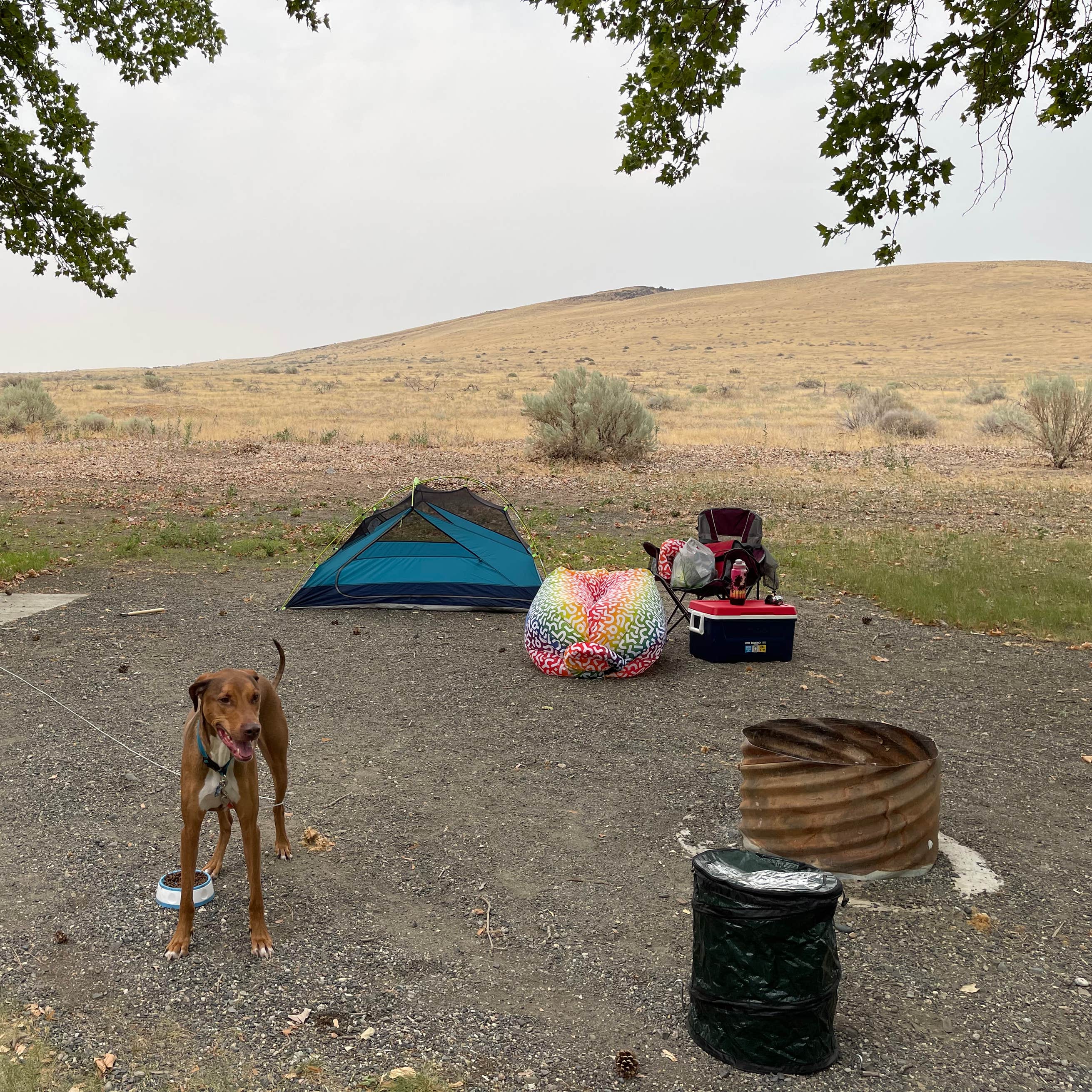 Crow Butte Park Camping | Boardman, Oregon