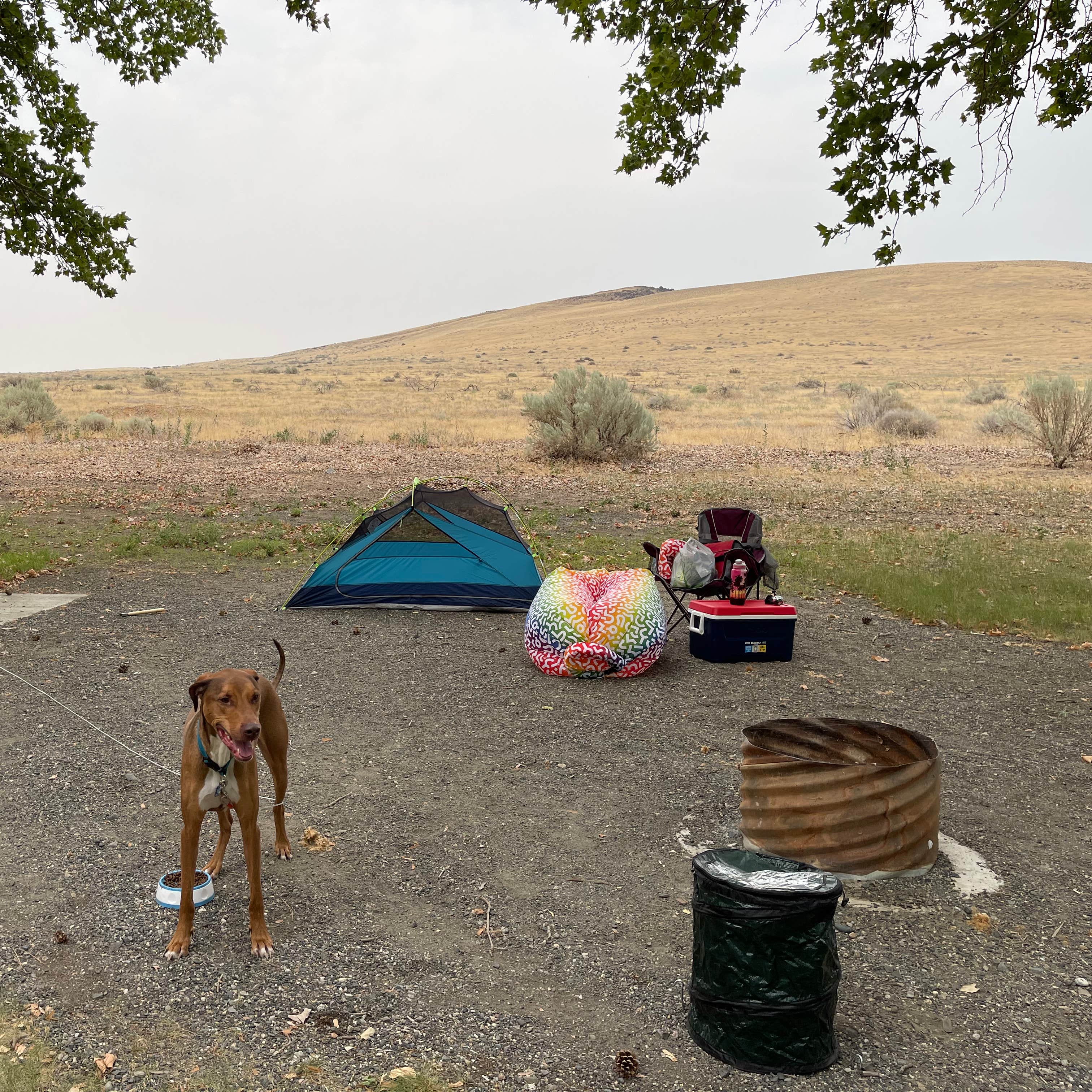Crow Butte Park Camping | Boardman, Oregon