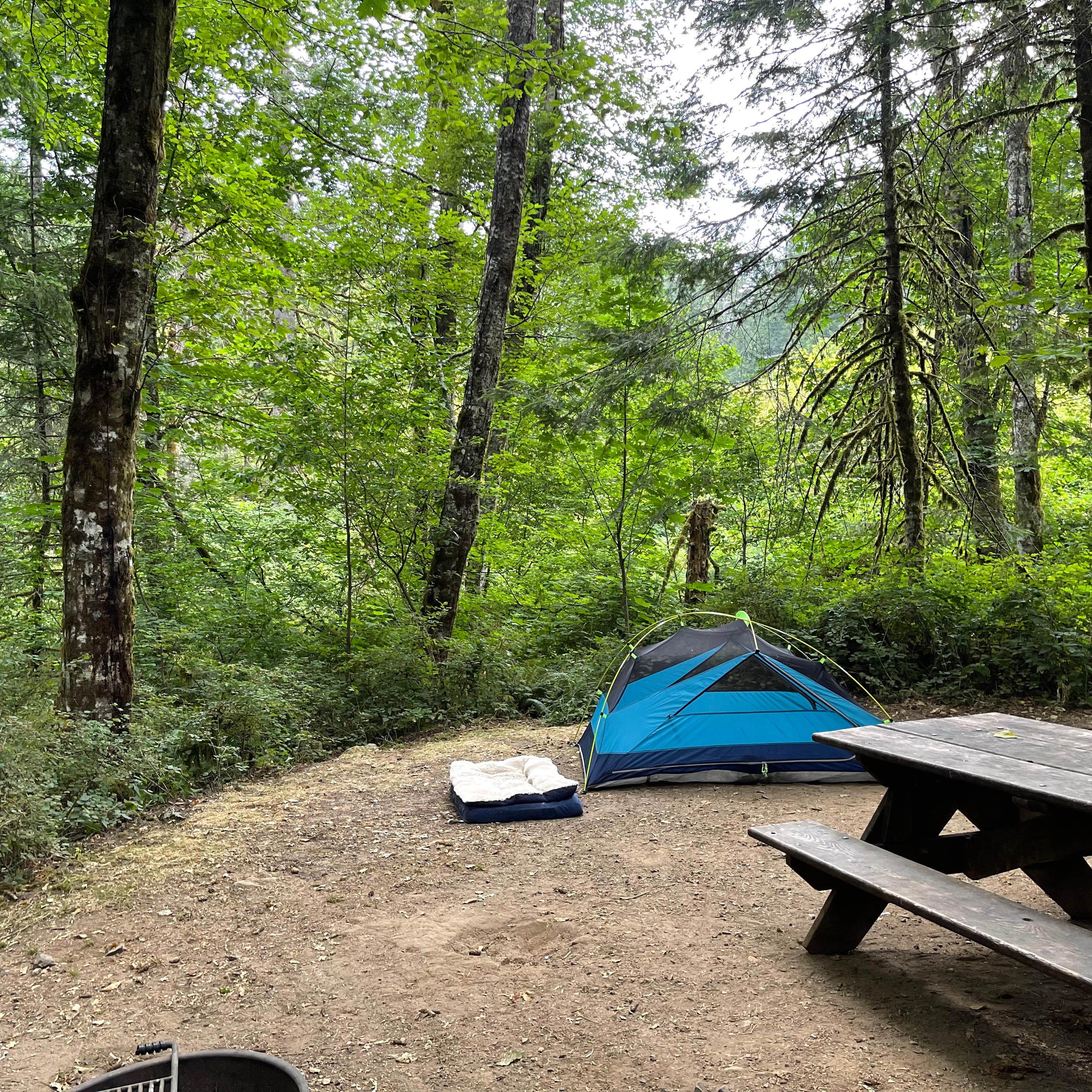 Beacon Rock State Park Campground | Skamania, WA