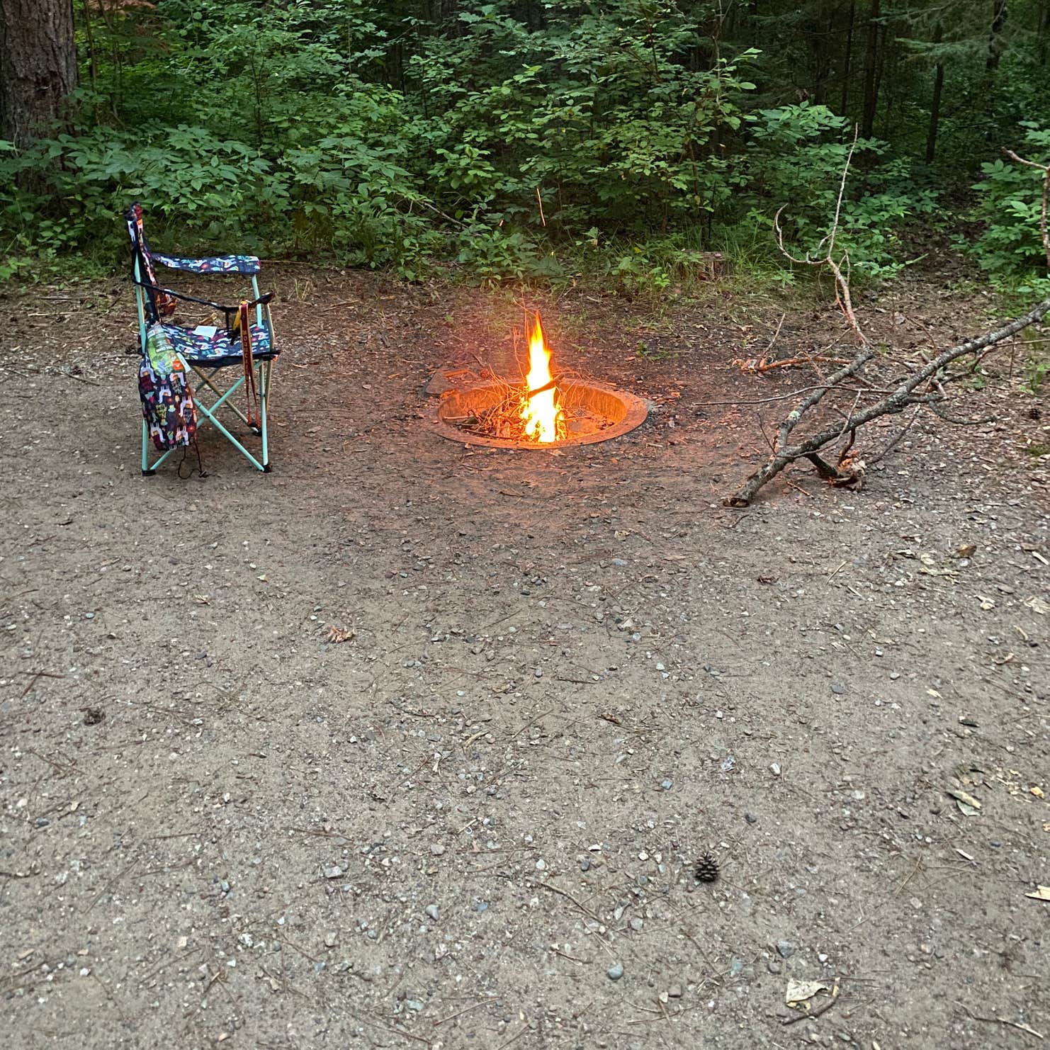 Goodman Park Camping | Armstrong Creek, Wisconsin