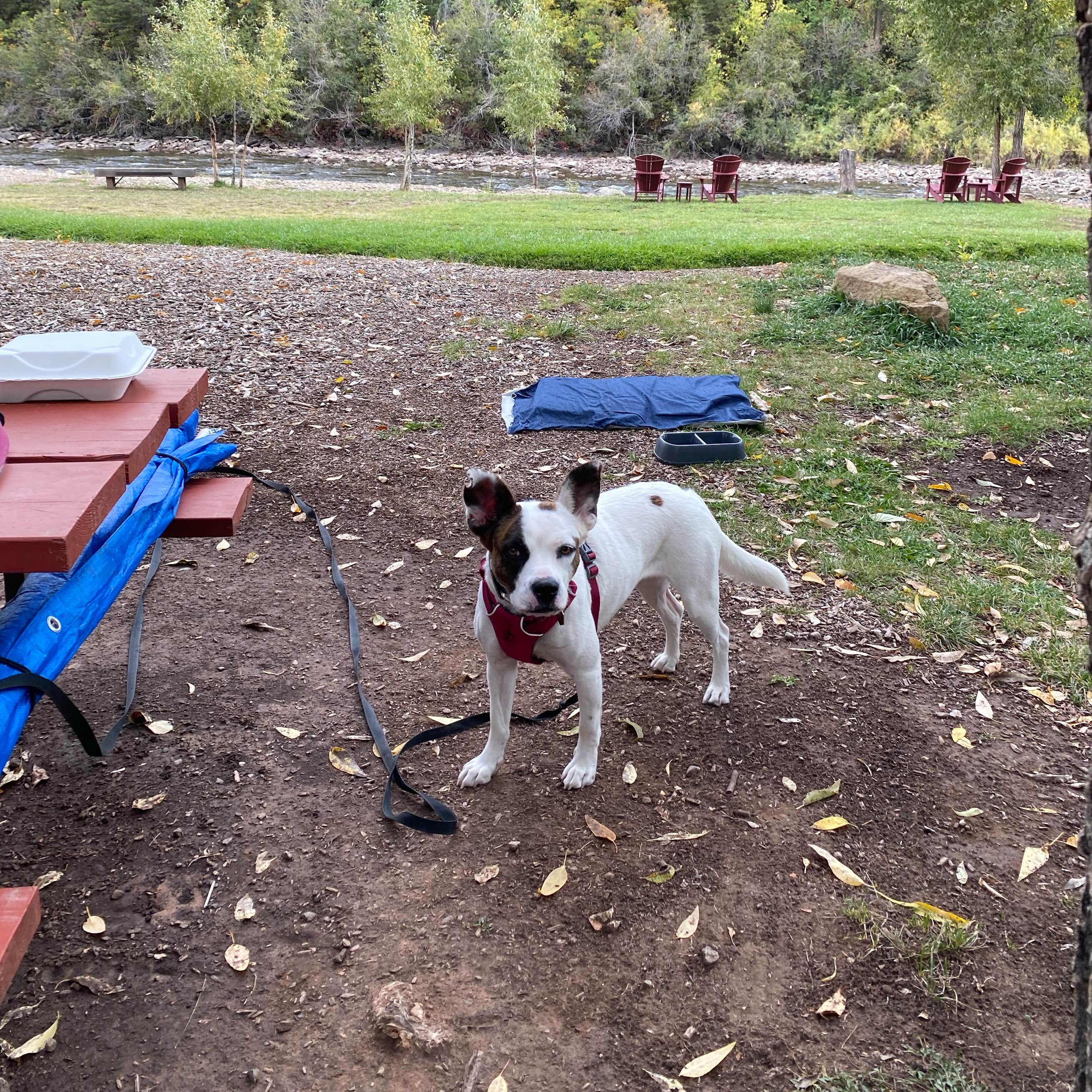 Dolores River RV Resort by Rjourney | Dolores, Colorado