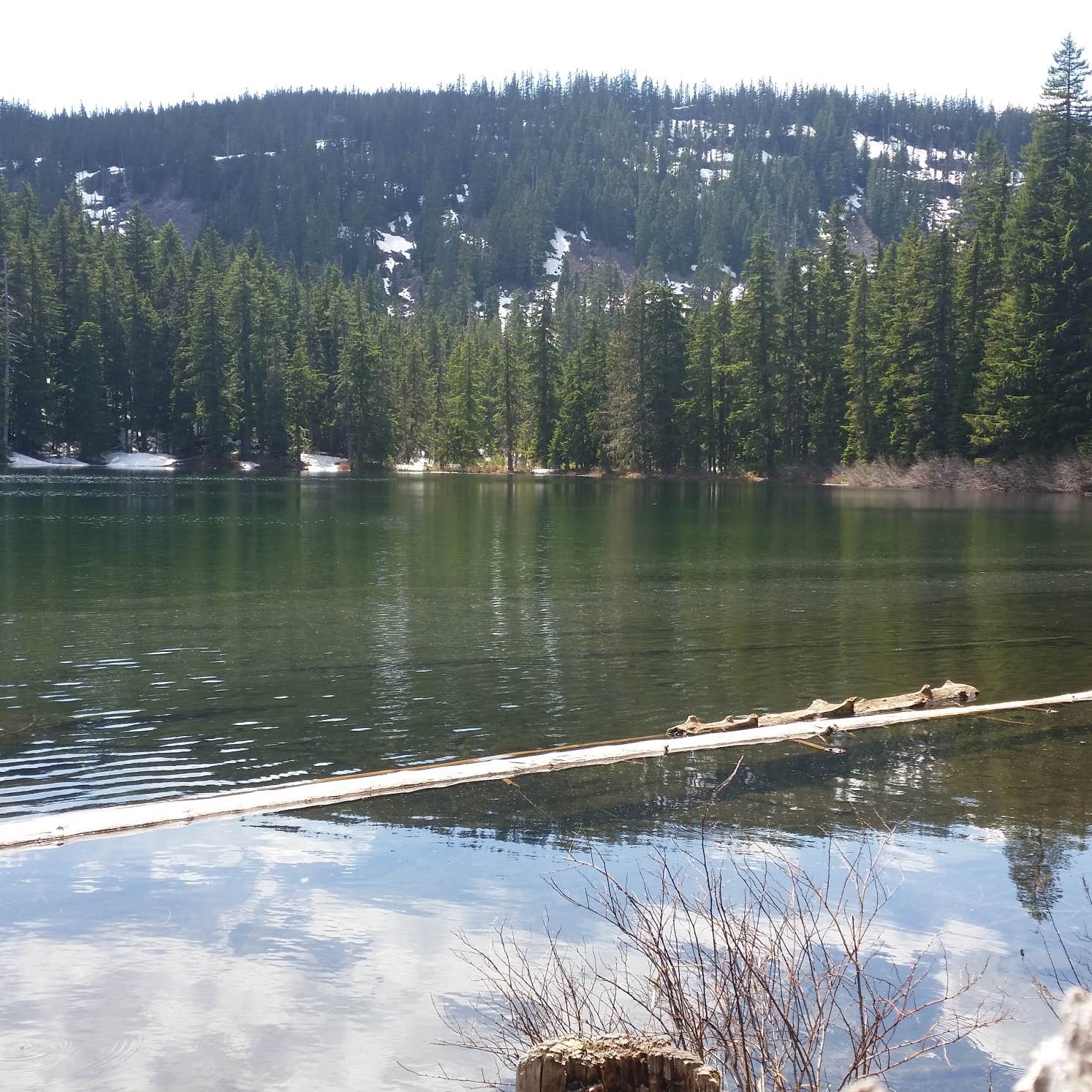 Hideaway Lake Campground - Mt. Hood National Forest Camping | The Dyrt