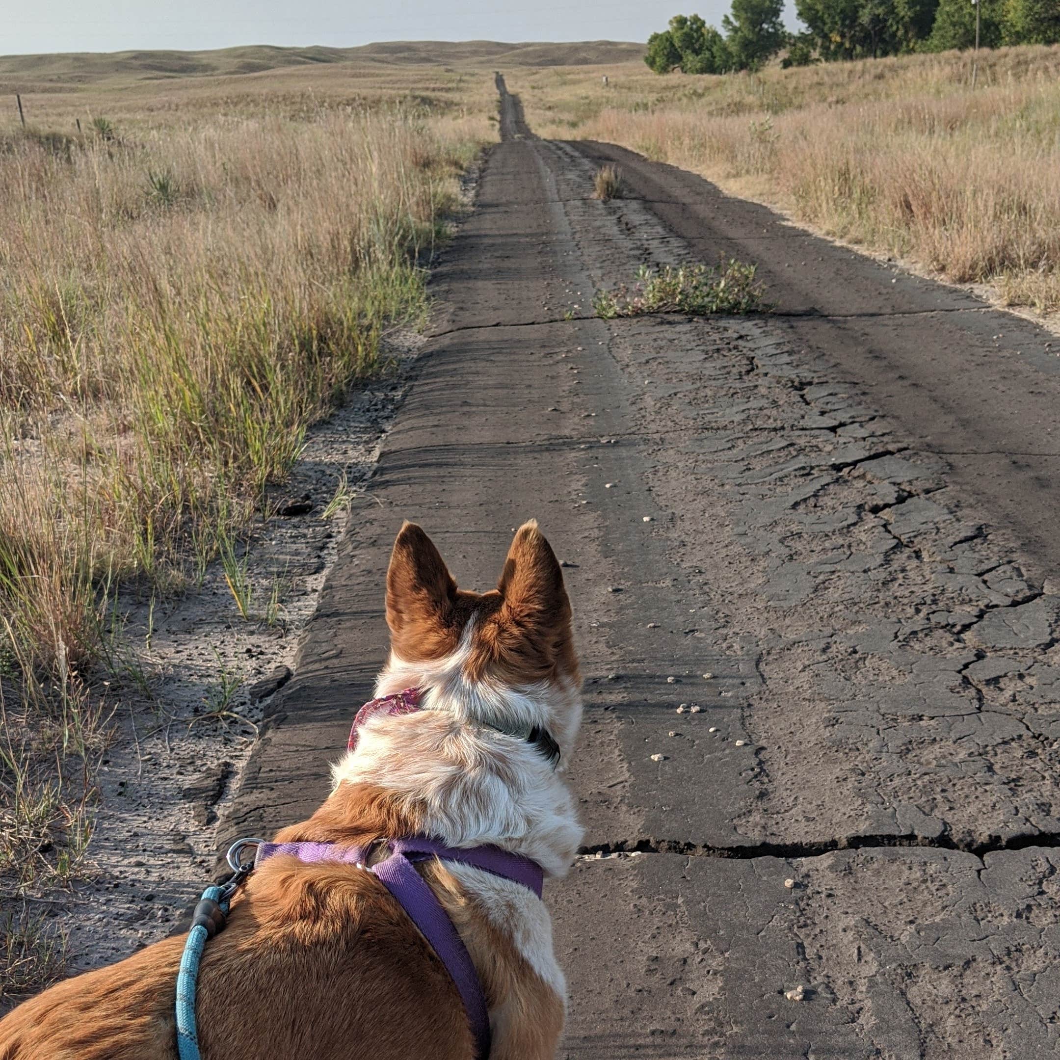 Samuel R. McKelvie National Forest Camping | Valentine, Nebraska