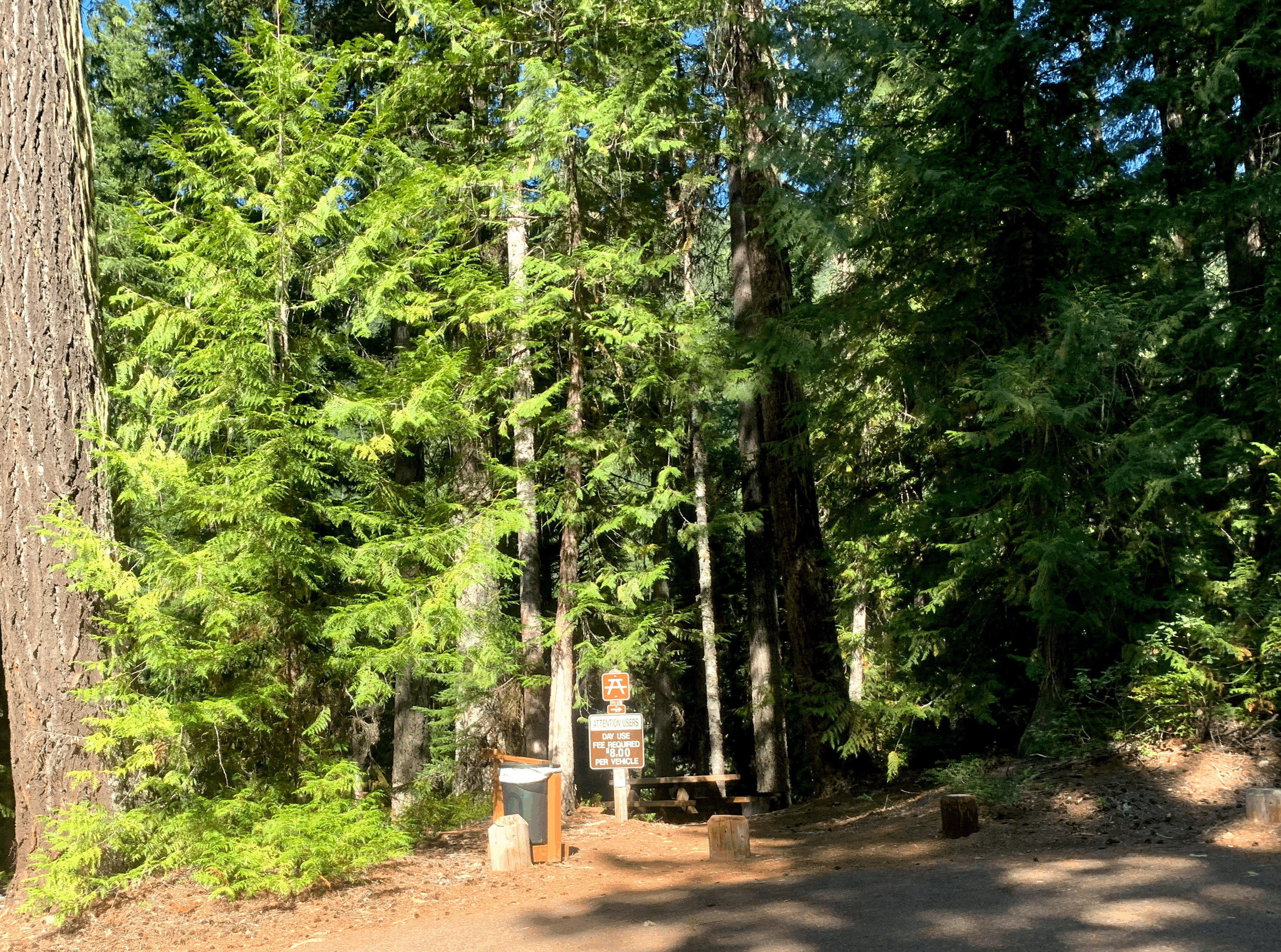 Ice Cap Campground Camping | The Dyrt