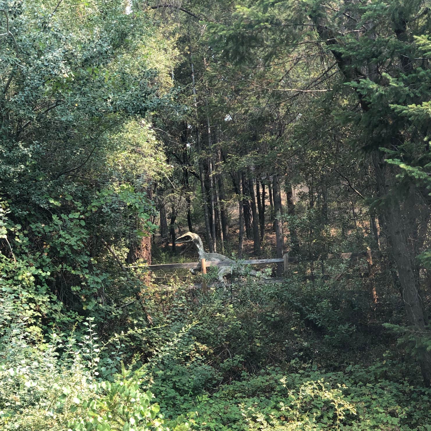 Mineral Bar Campground — Auburn State Recreation Area | Auburn, CA