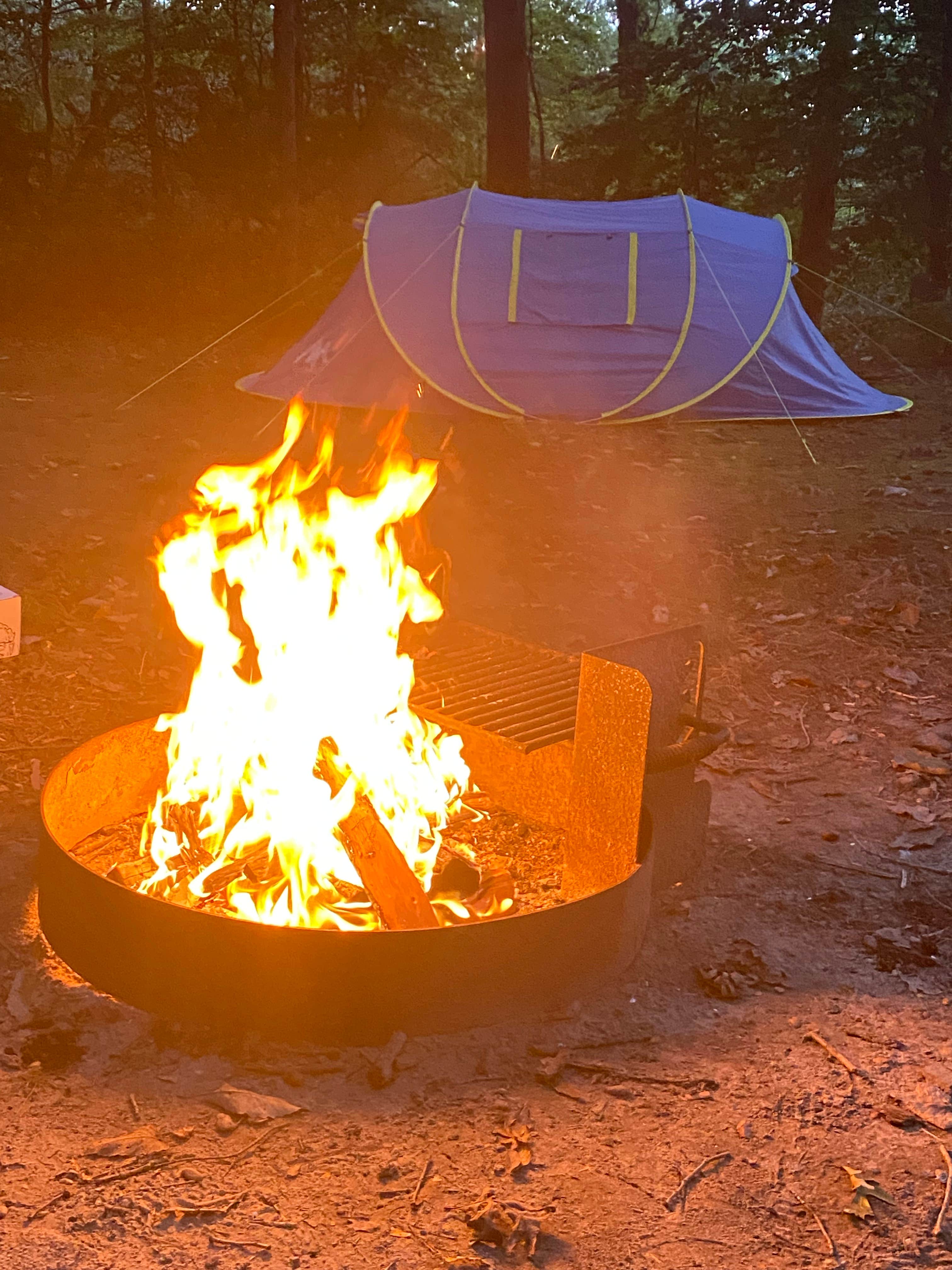 Cheesequake State Park Campground | Matawan, NJ